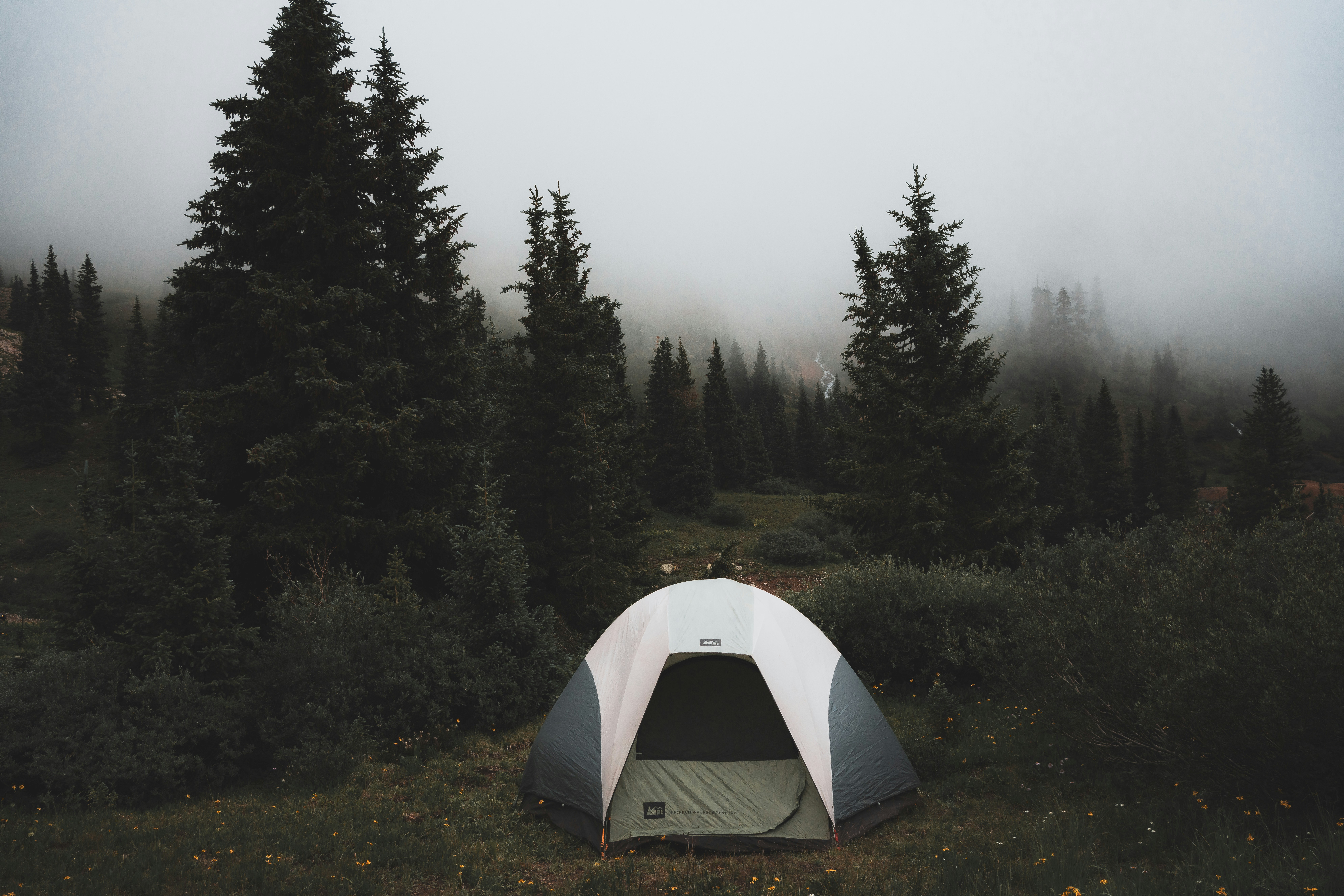A solitary tent nestled among tall evergreens, enveloped in a mysterious fog, suggesting a serene escape into nature.