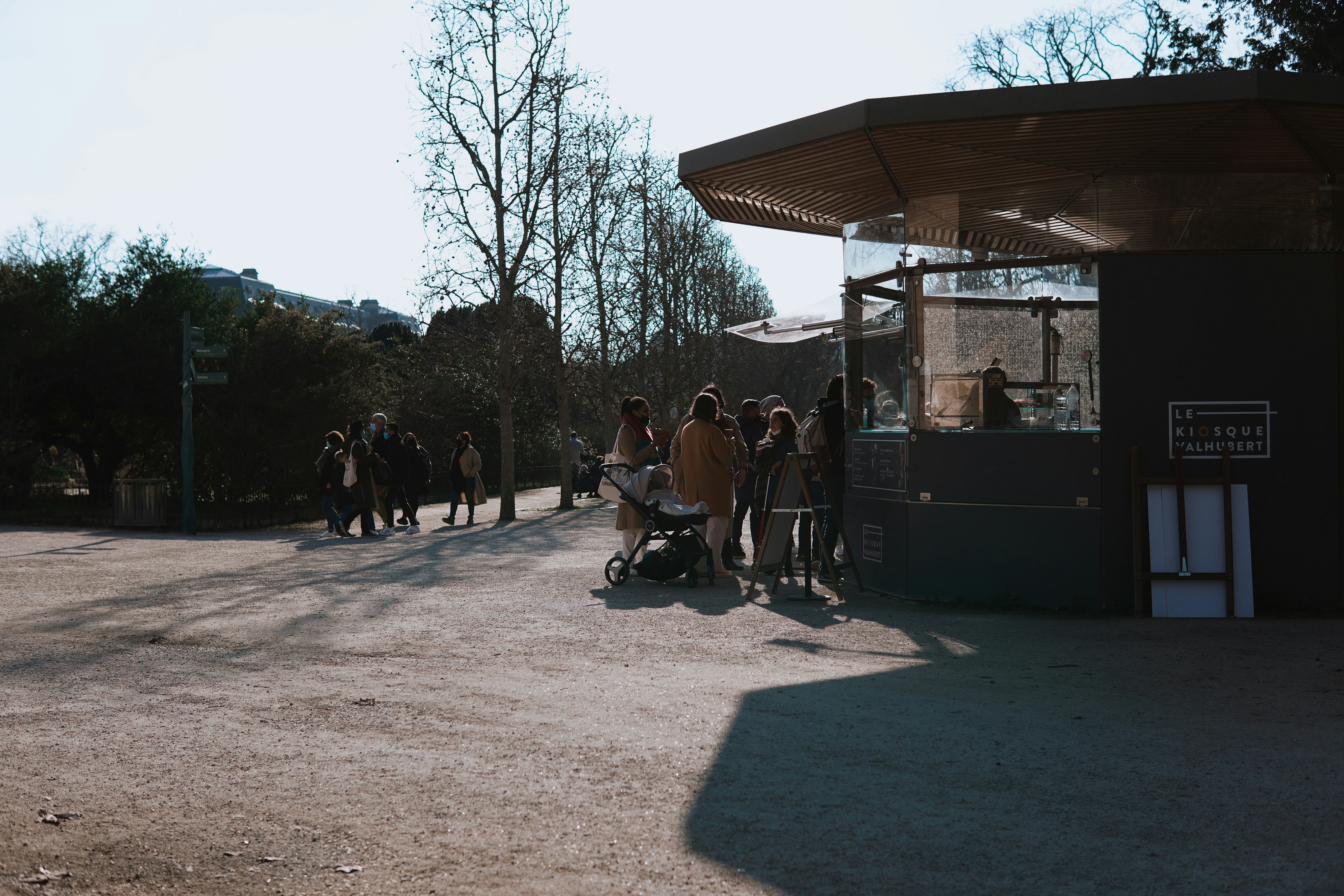 Sunlit Convergence by the Park Kiosk