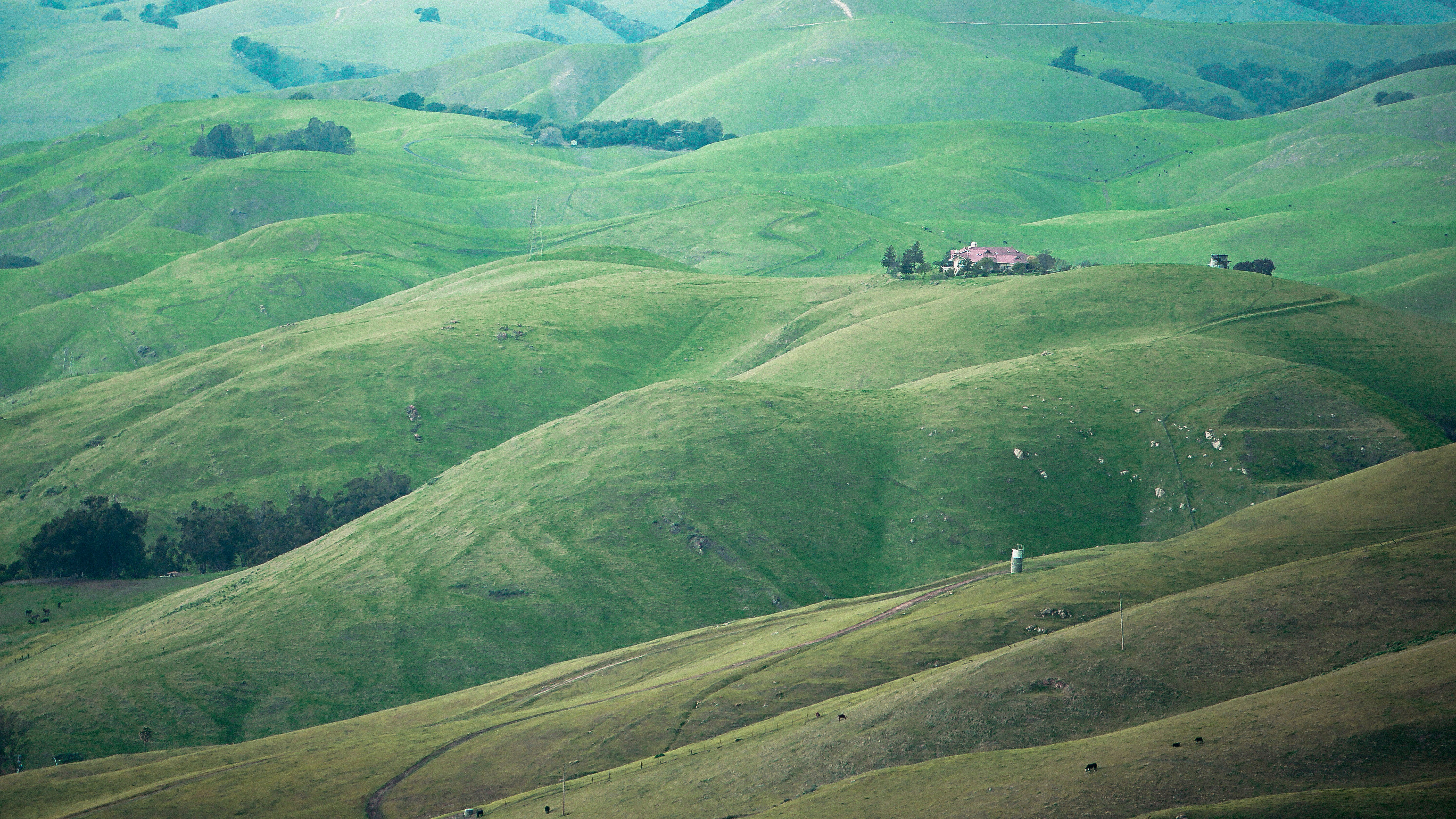 Verdant Ribbons: A Distant Farm Nestled in the Emerald Hills