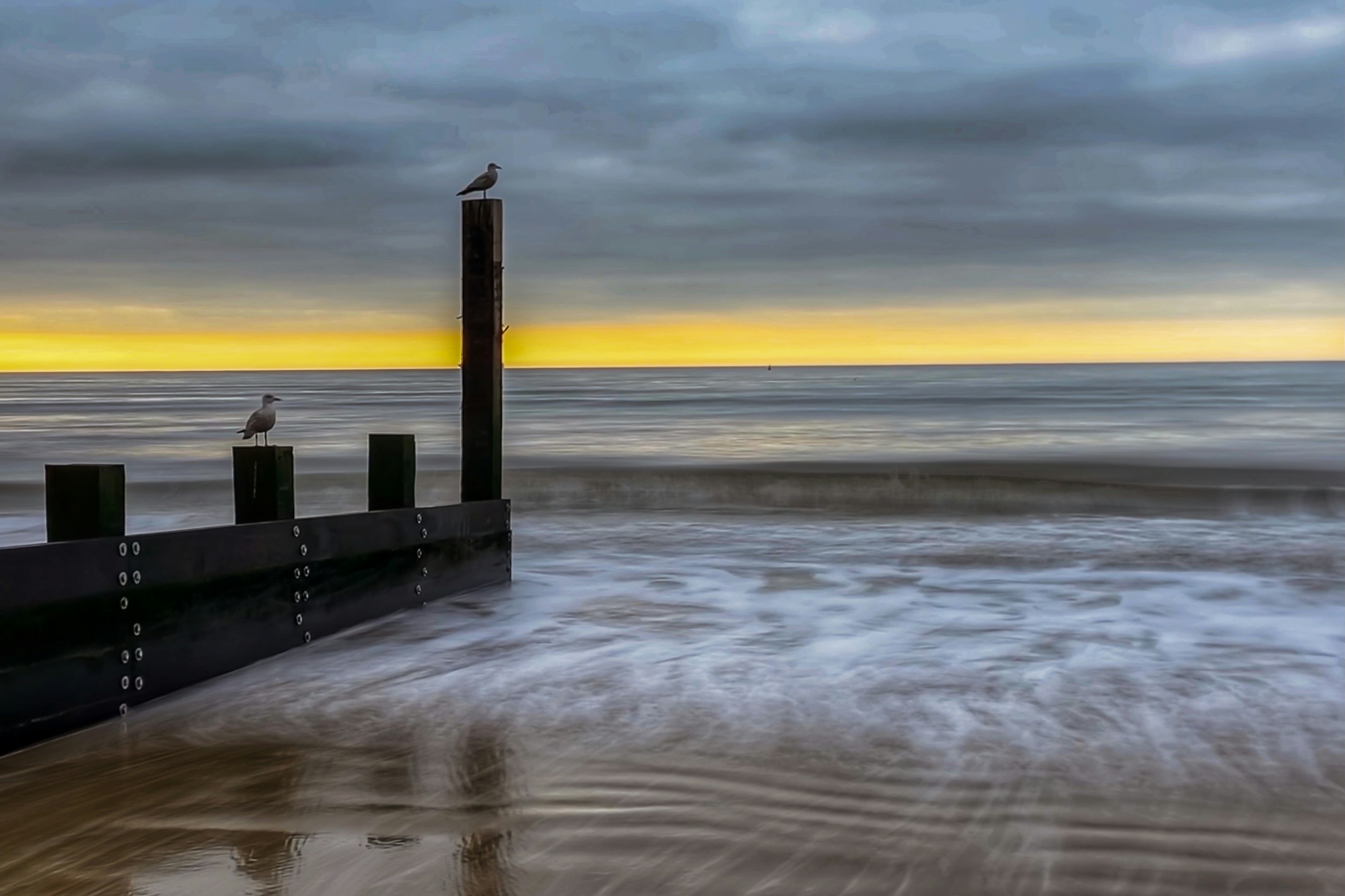 Seagull Sentinel at Sunset: A Pier Post Framed by Tidelit Horizon