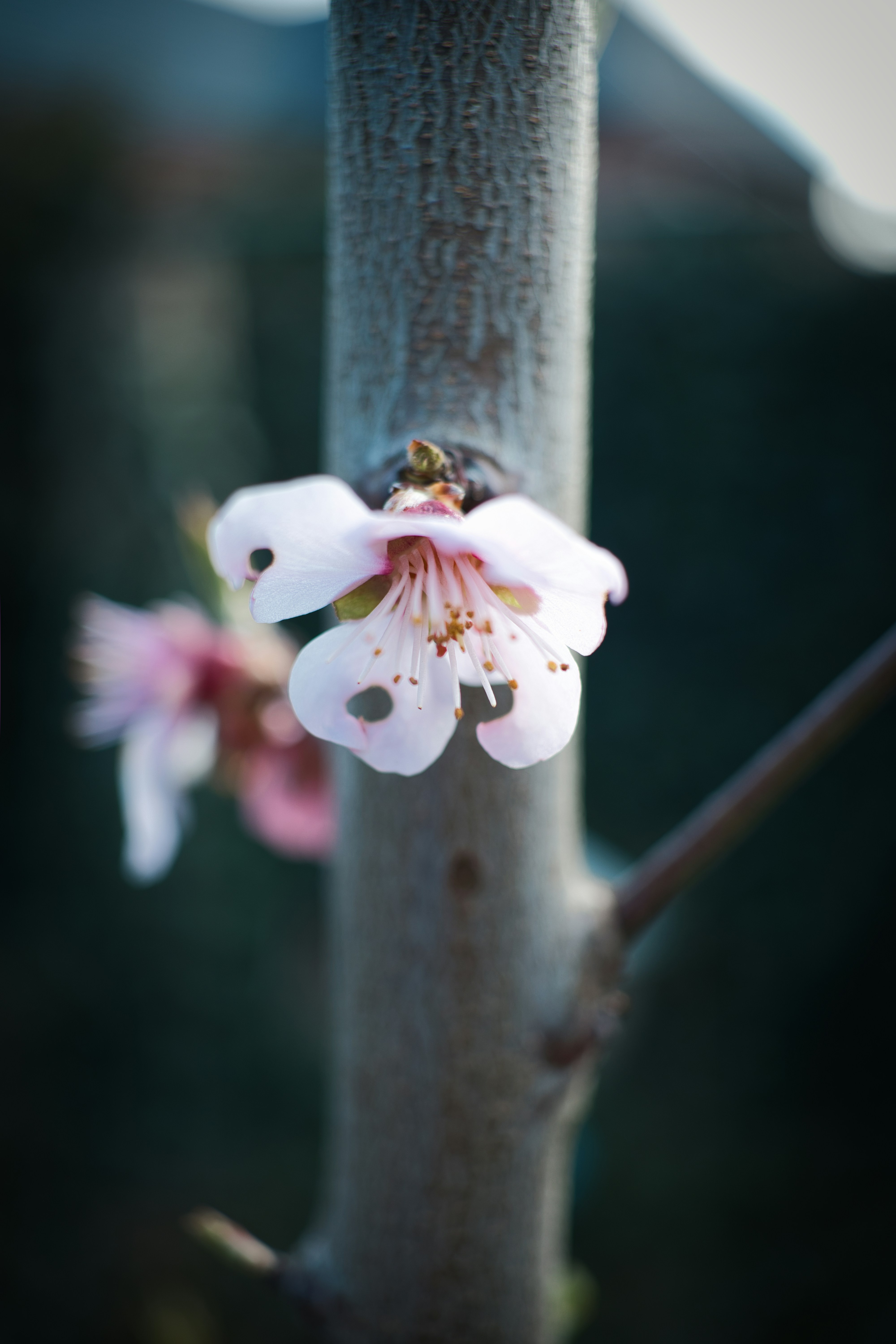 Tom Swinnen (@shottrotter) | Unsplash Photo Community