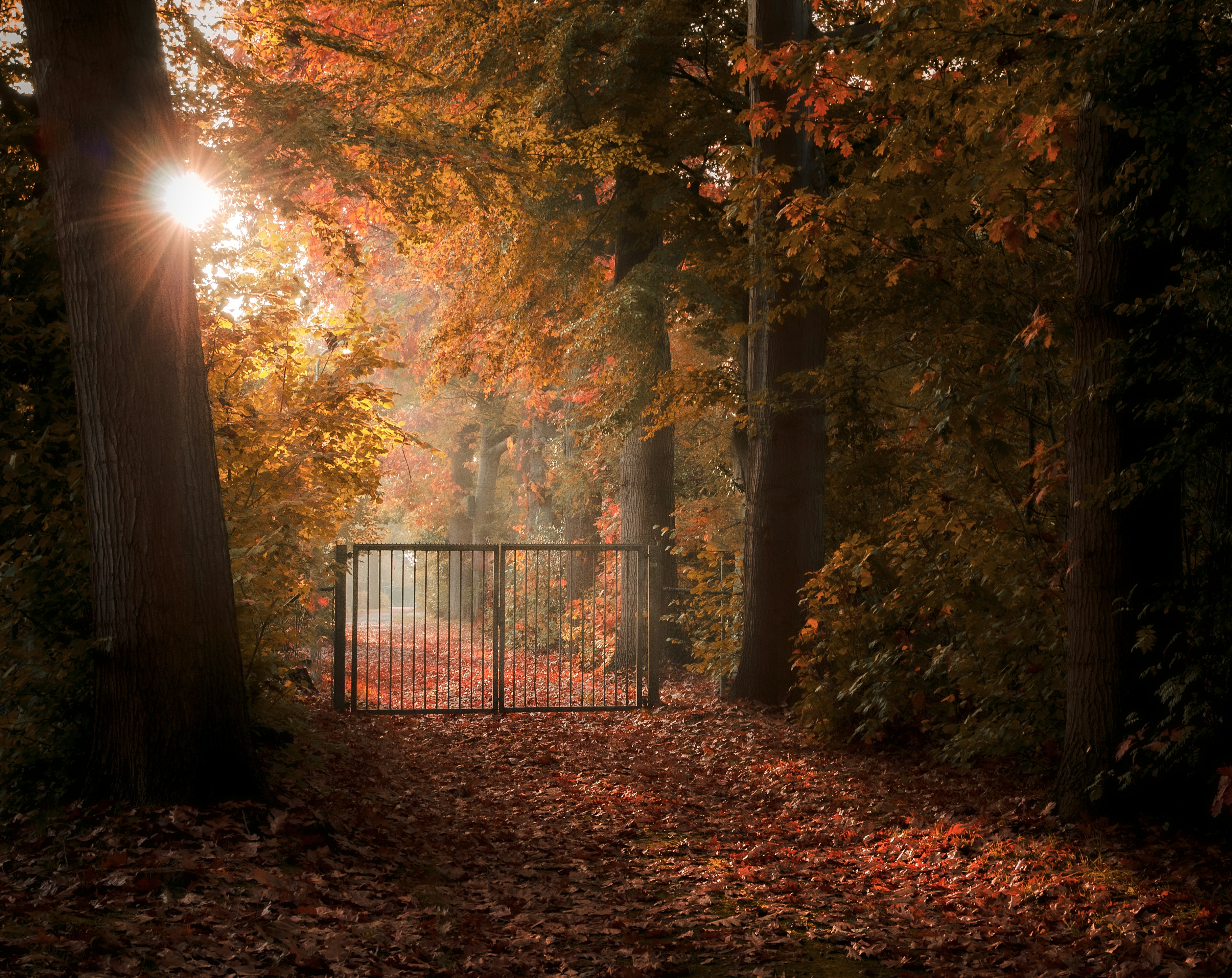 Enter His Gates - by Emily - The Practical Worshipper