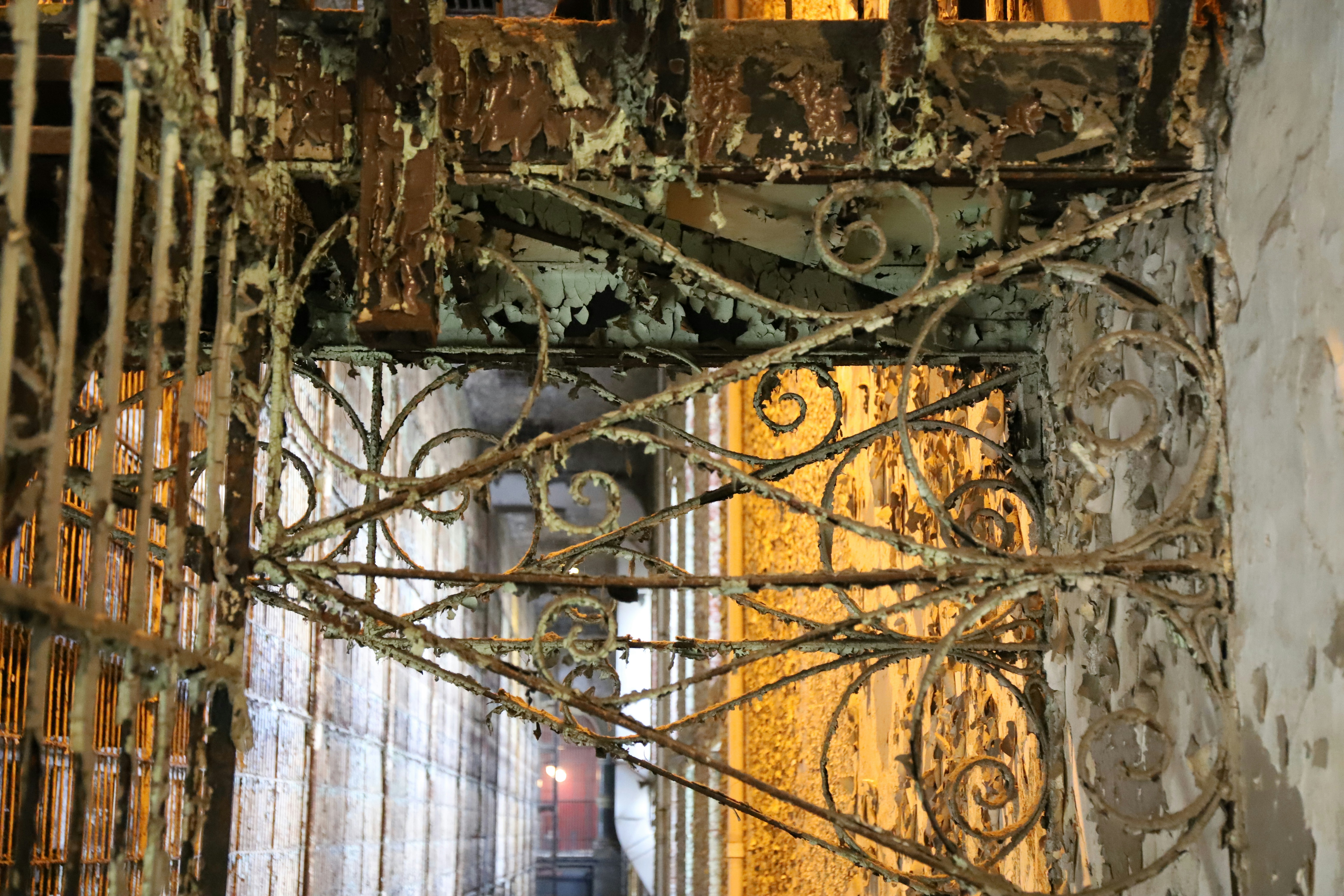 Rust and Vines Beyond a Hidden Alley Gate