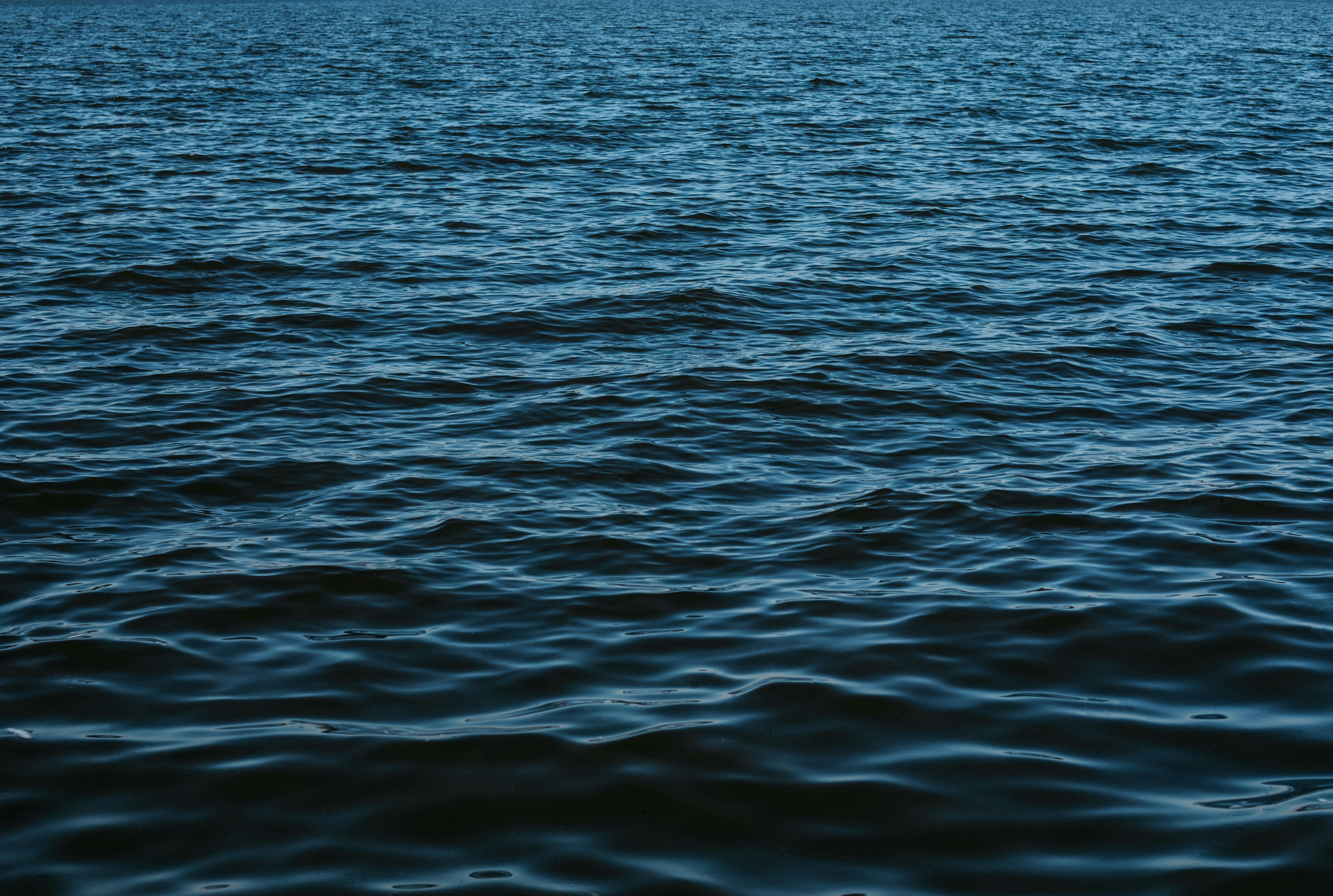 Wiktor Karkocha (@rotkif) | Communauté photos Unsplash