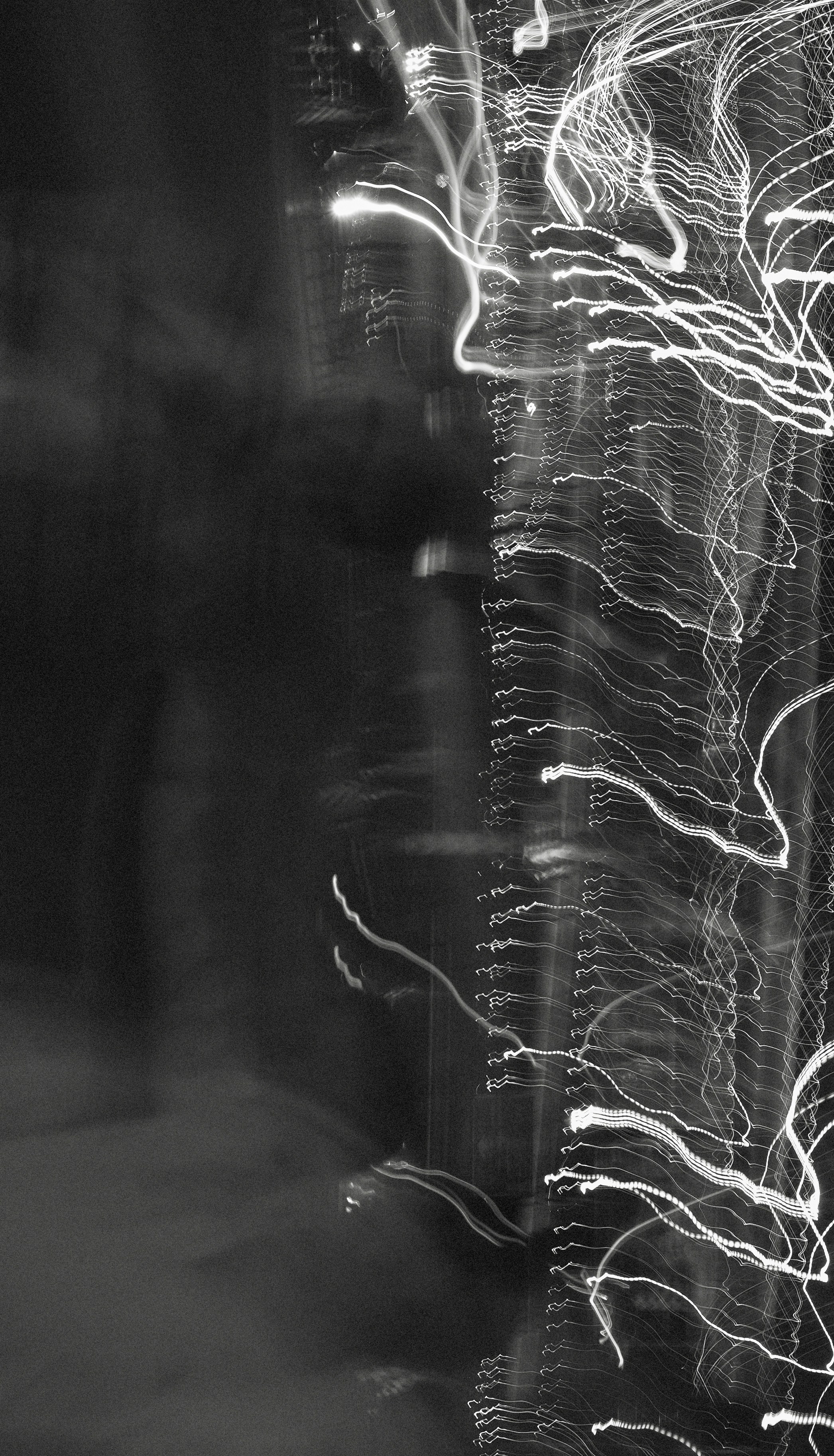 Grayscale photo of spider web photo – Free Panning Image on Unsplash