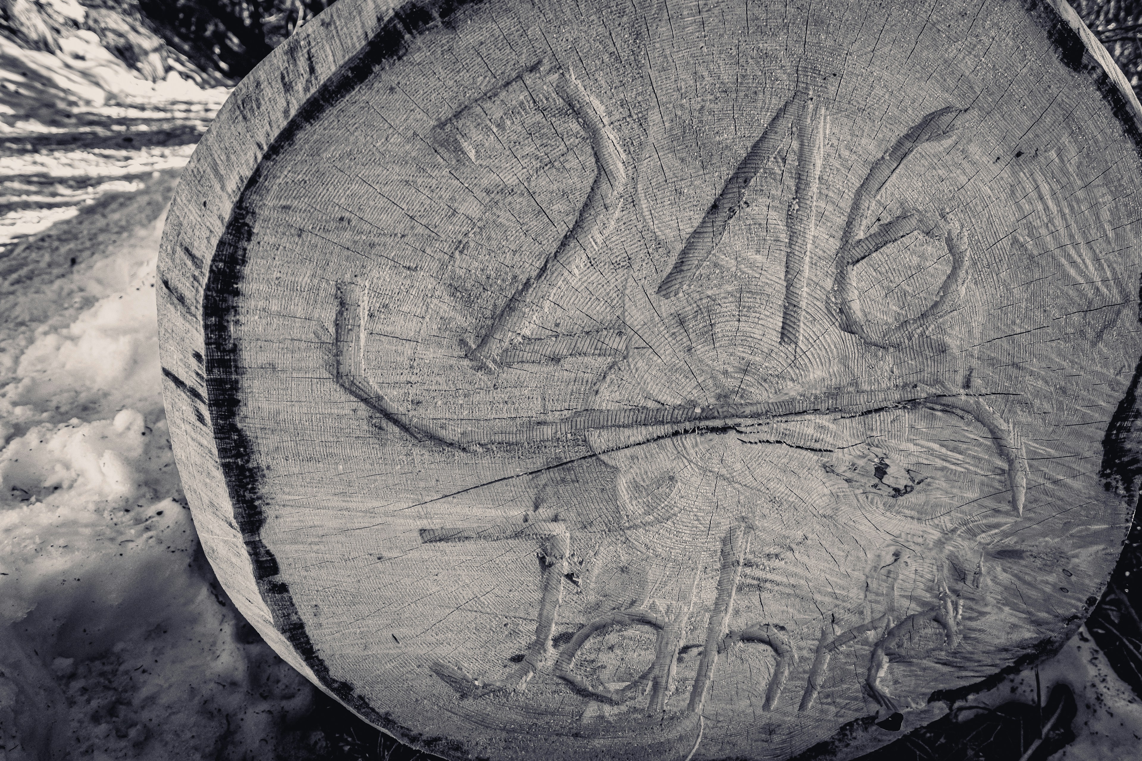 Carved Numerals on a Snow-Kissed Log Slice