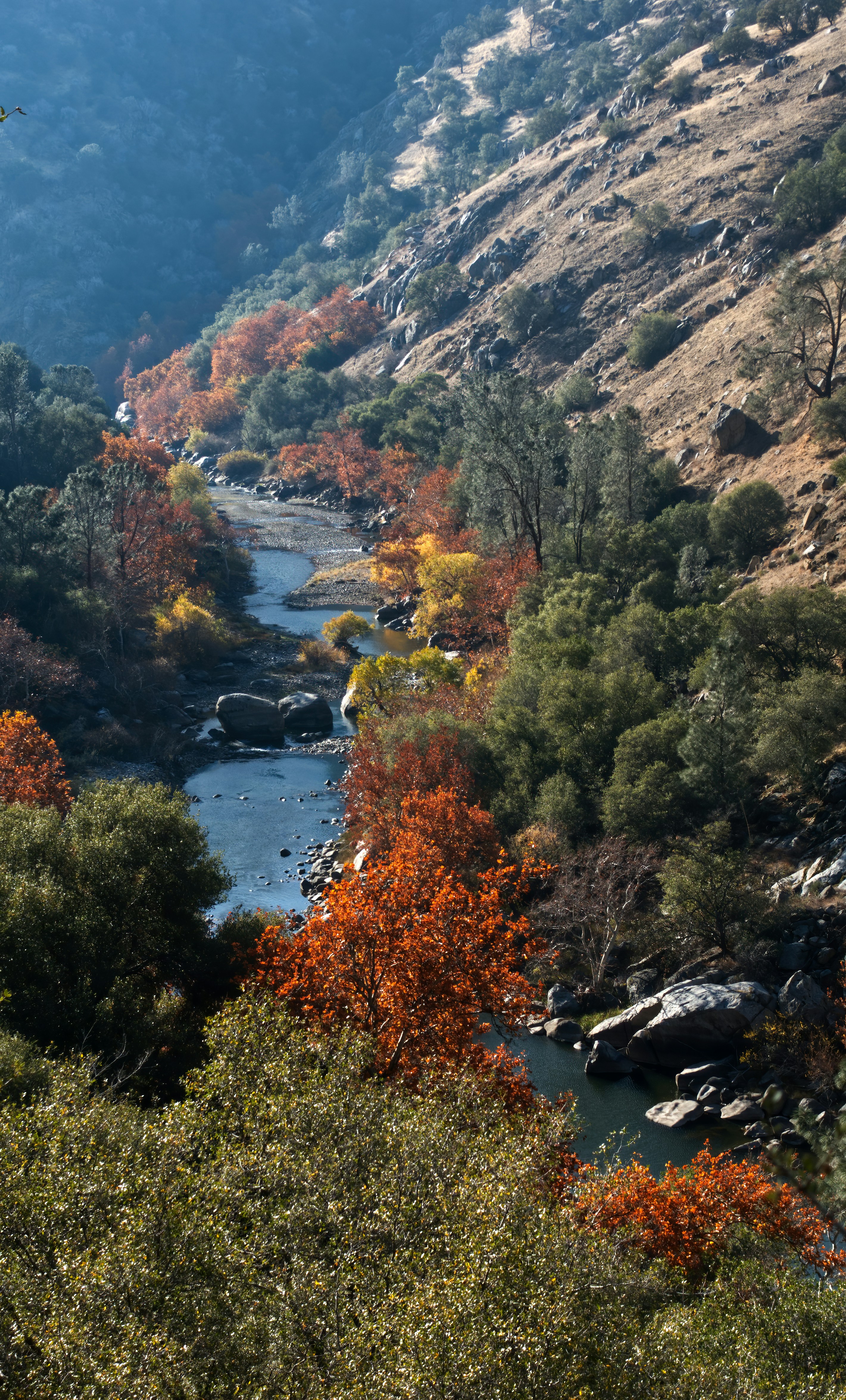Beautiful autumn colors on the Kern River