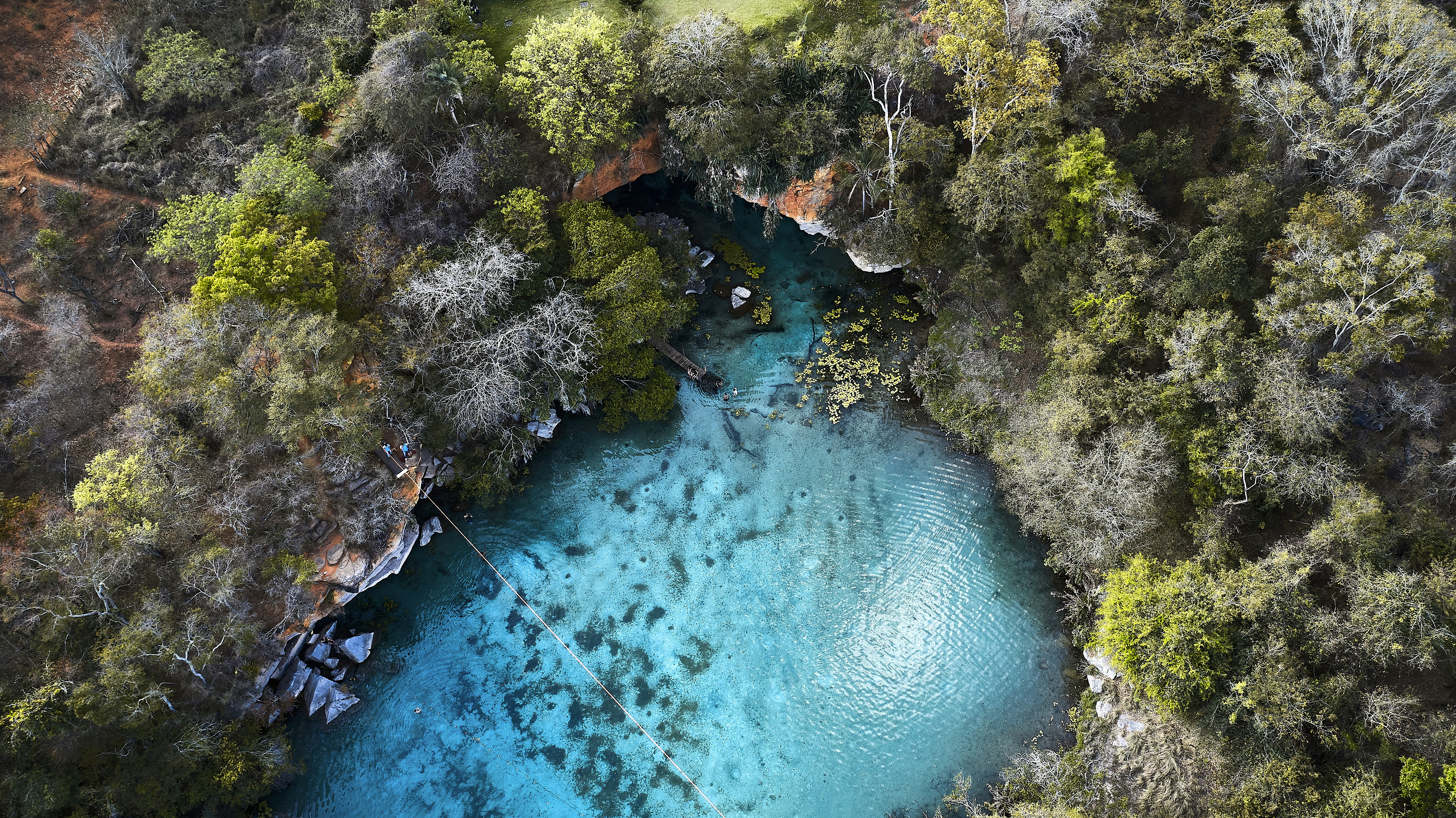 Crystal-clear blue lagoon surrounded by lush green forest captured from above.