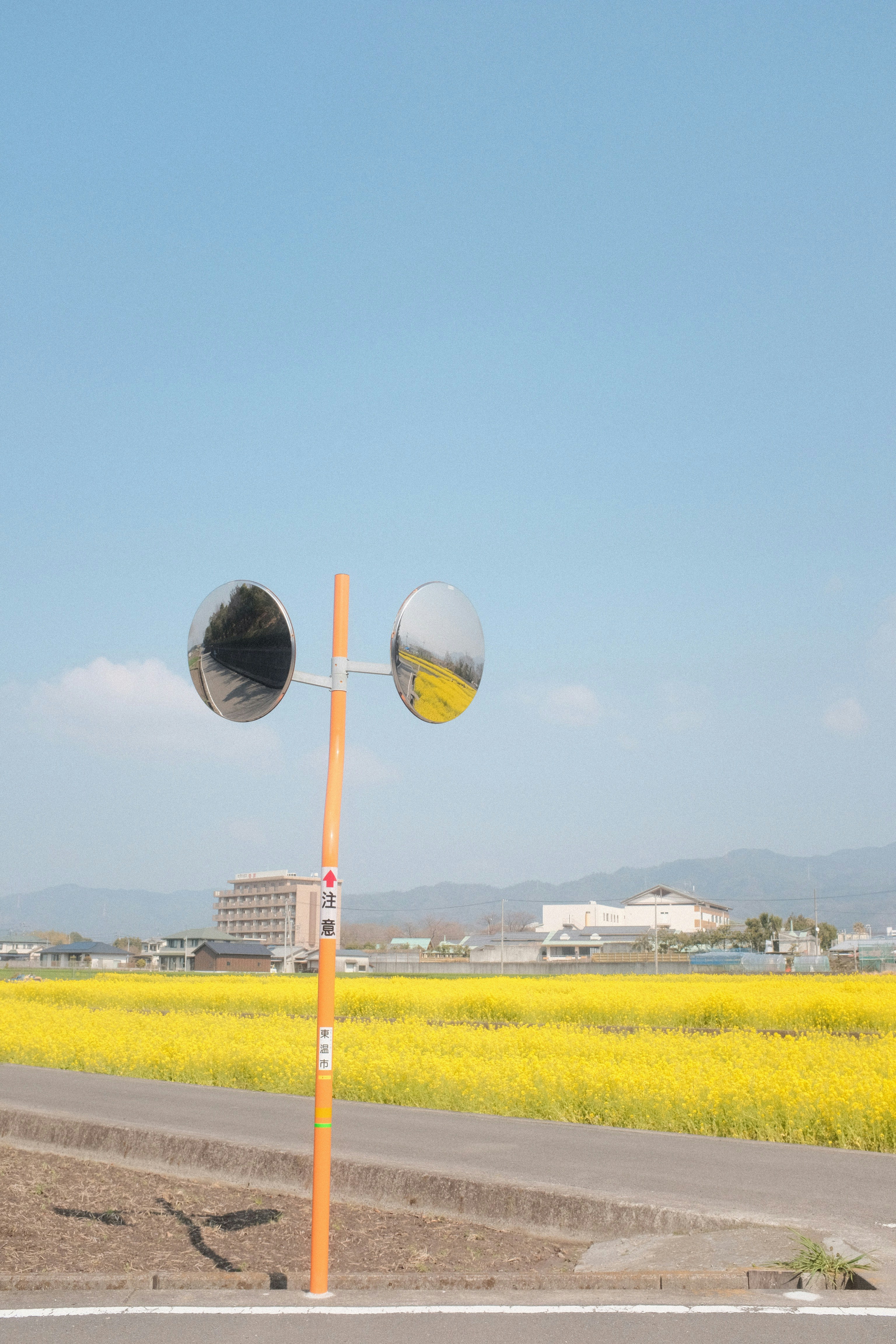 Twin Mirrors on an Orange Post Over a Canola Field