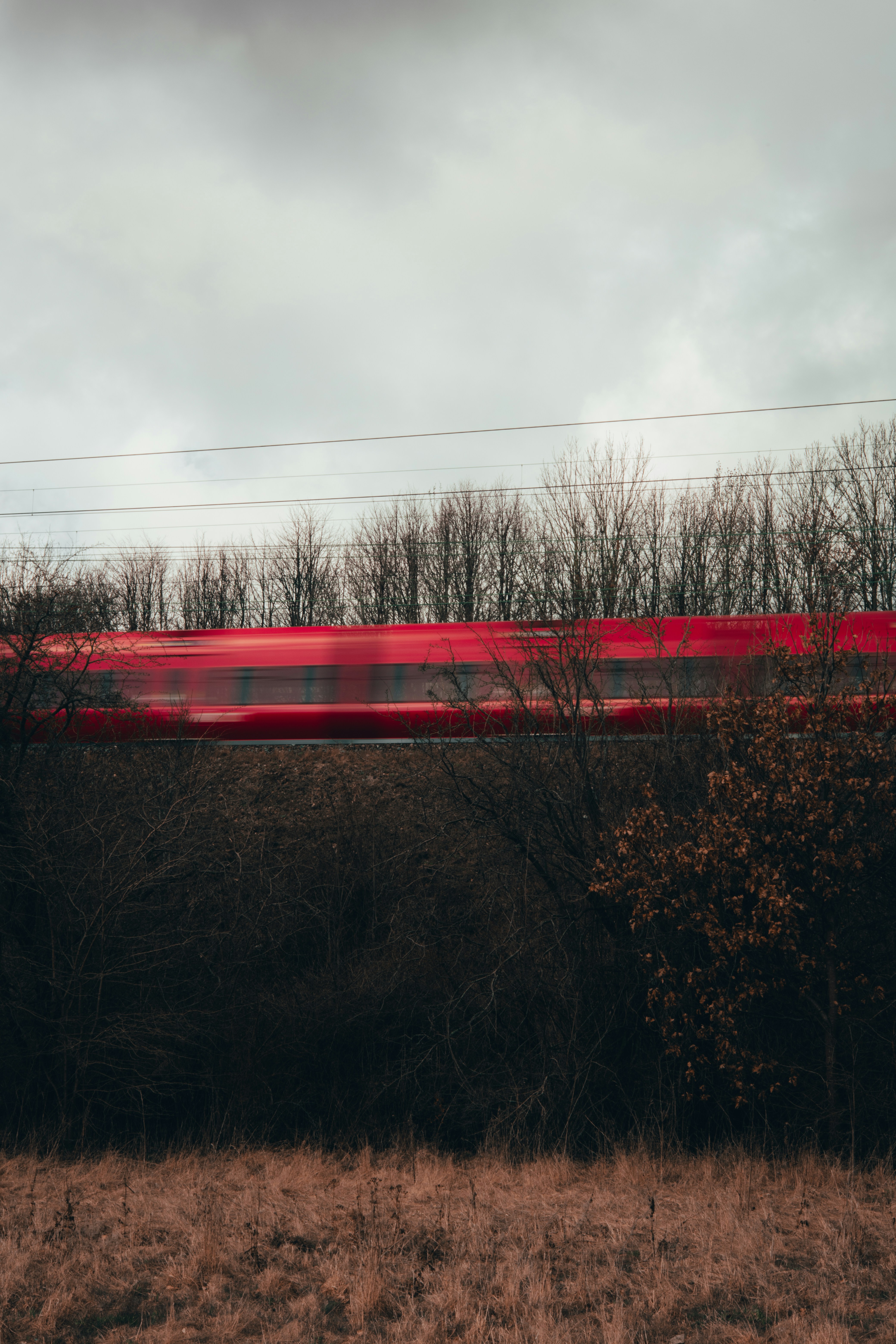 Crimson Dash Across a Winter-Bare Horizon