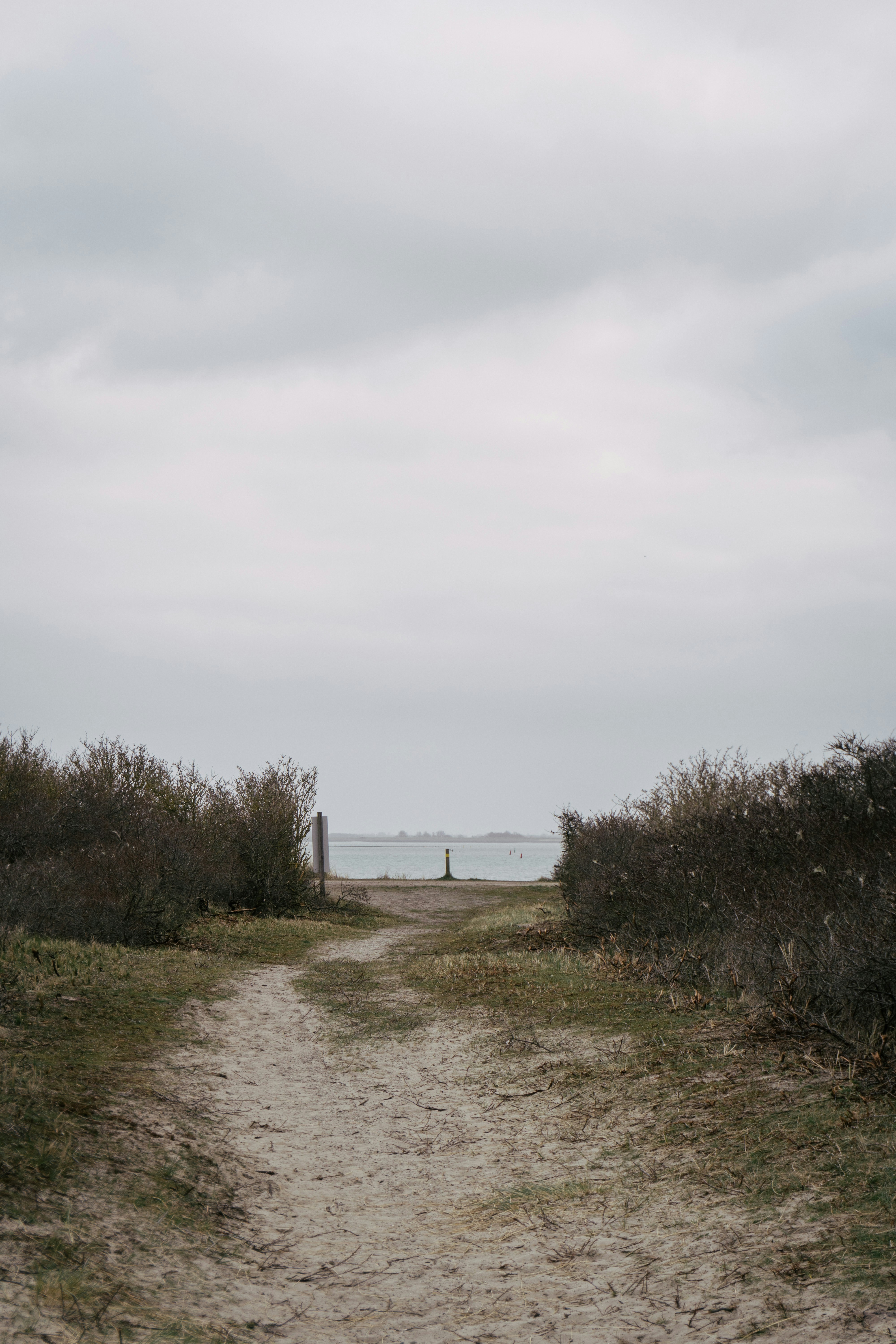 Horizon Path: A Lone Figure at the End of a Wind-Worn Dune Corridor