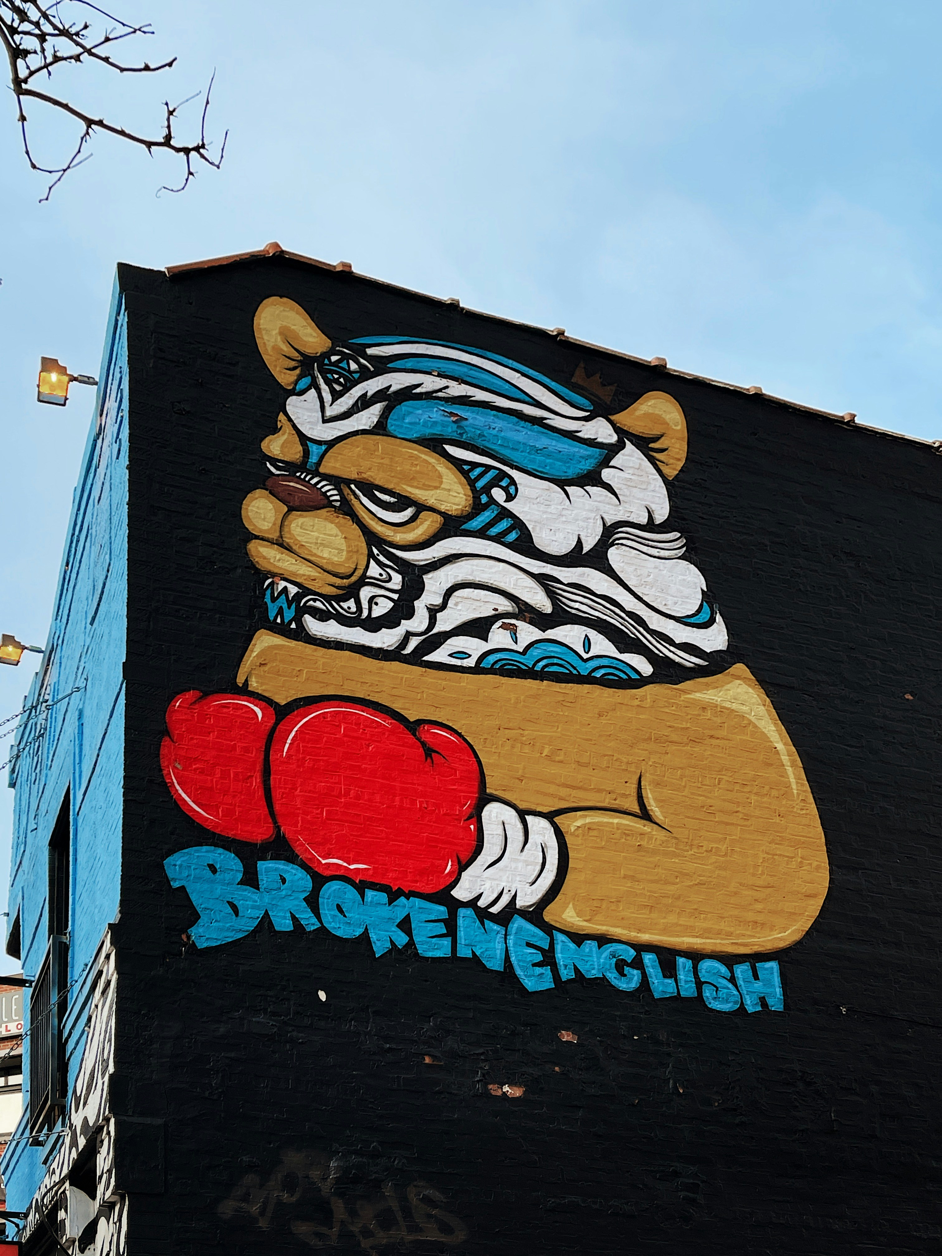 The Boxing Bear: A Bold Graffiti Portrait Beneath a Clear Sky