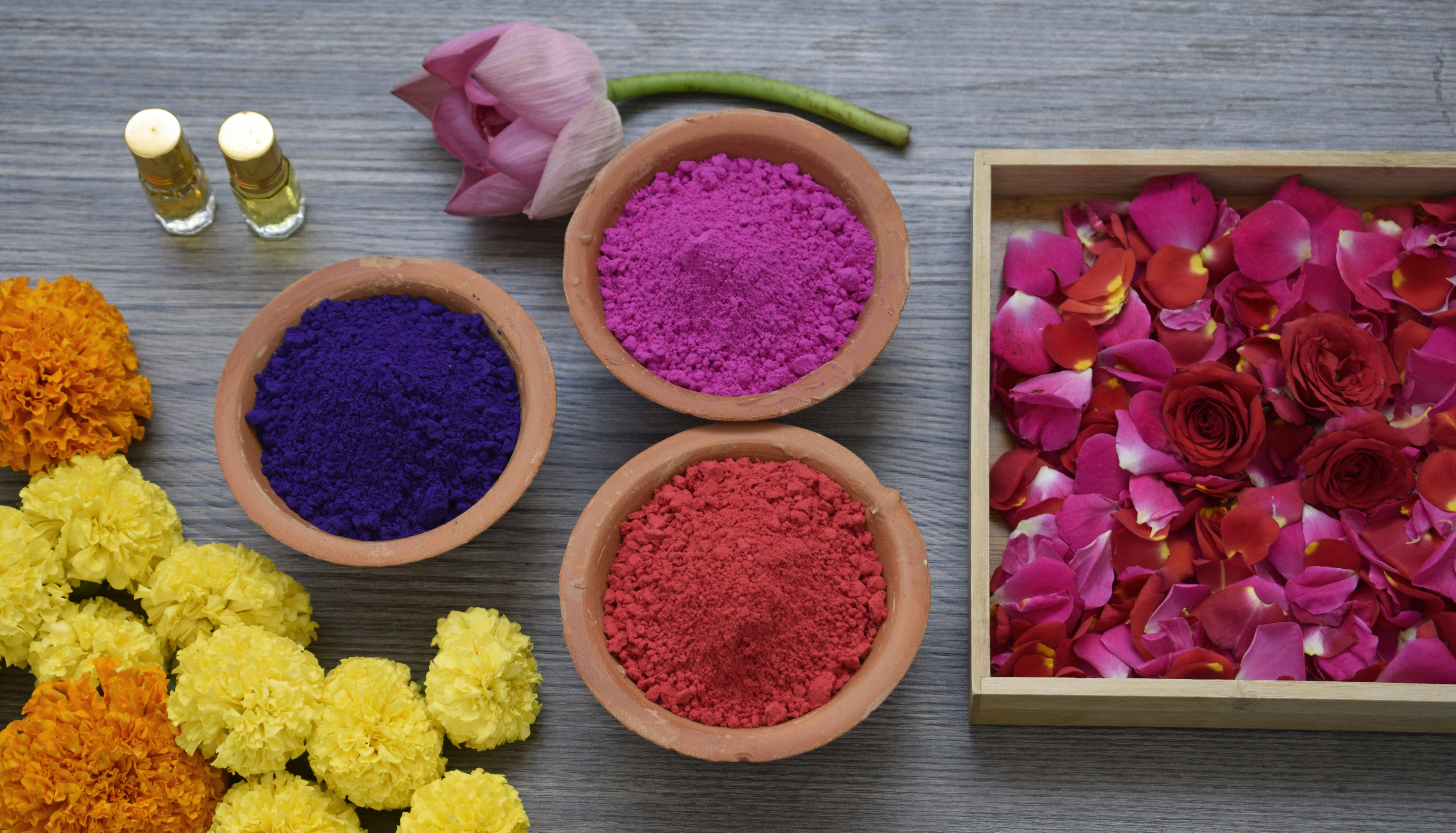 Color Powder Pictures | Download Free Images on Unsplash