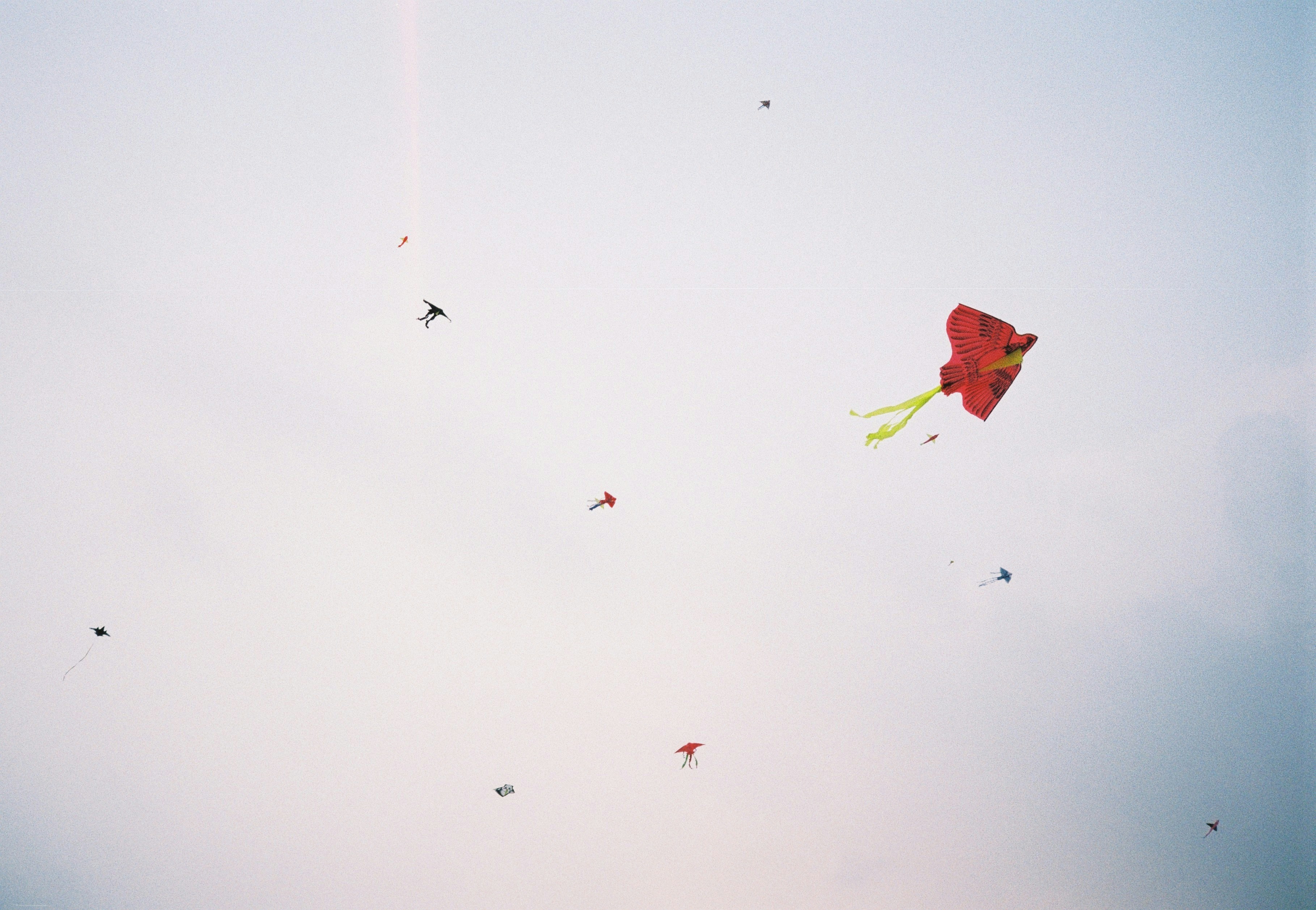 Red Kite in Freefall: A Quiet Sky with Colorful Trails