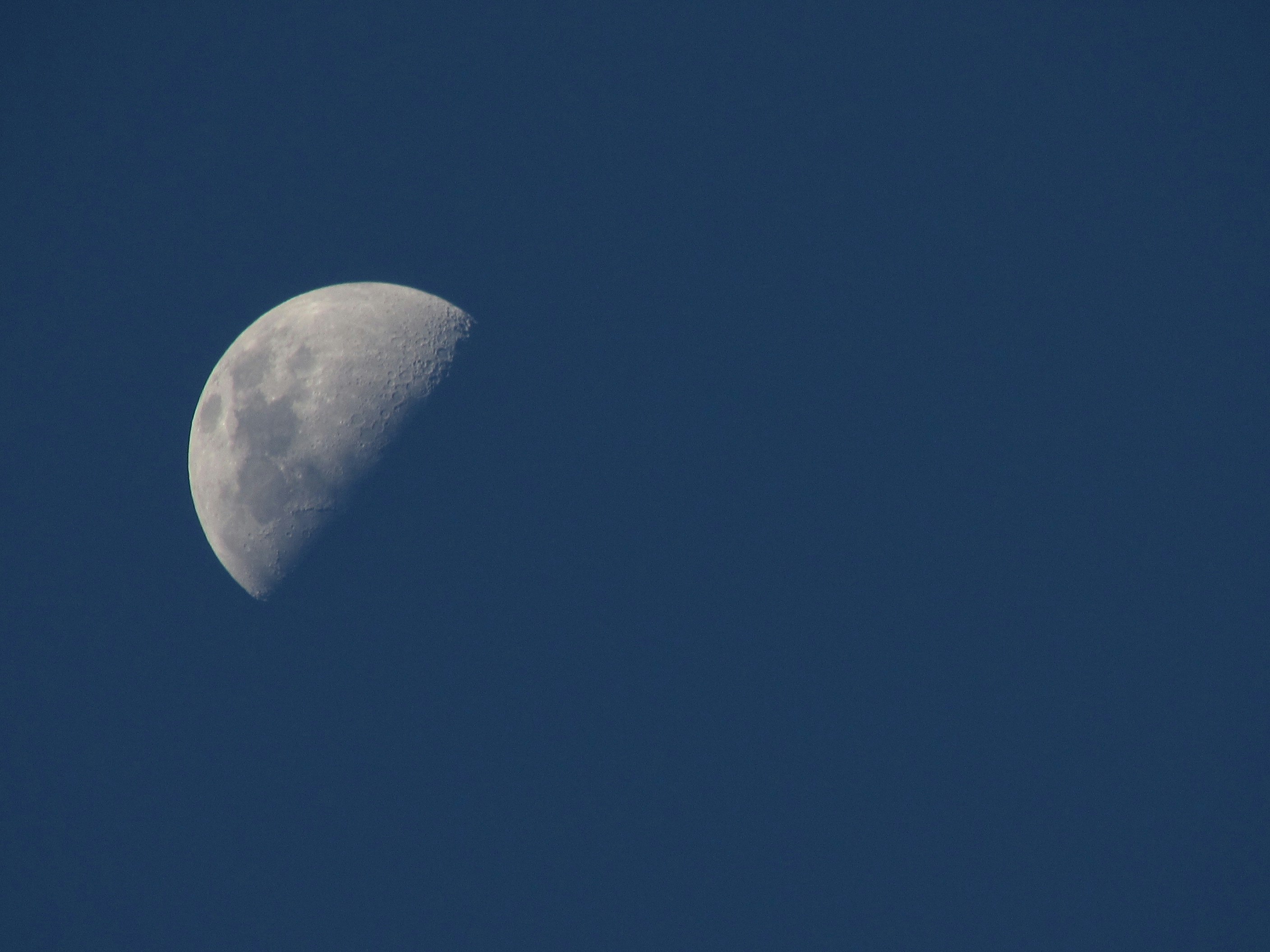 Half-moon set against a deep blue evening sky.