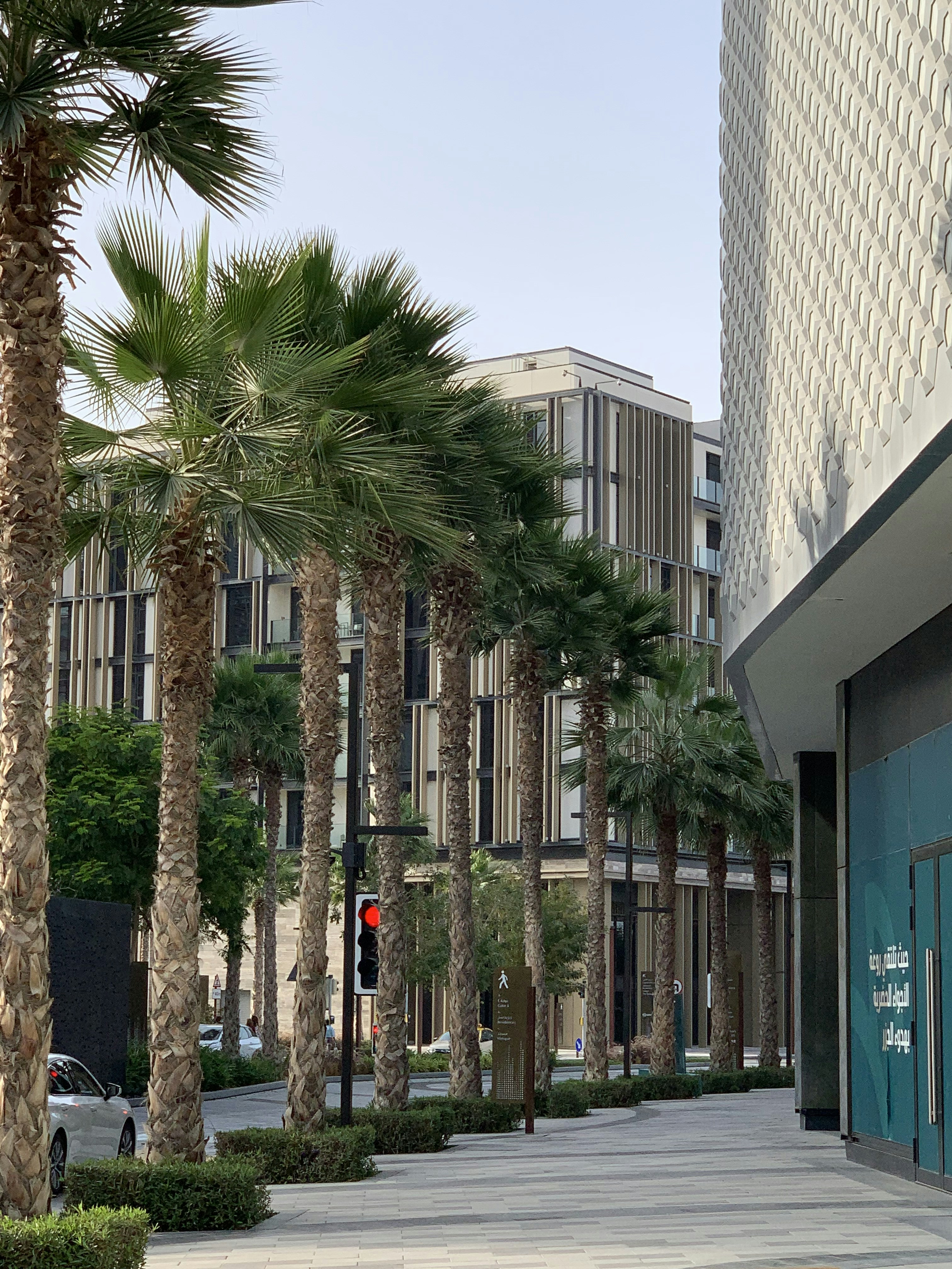 Palm trees line a modern urban street, juxtaposed against contemporary architecture. A traffic signal adds a dynamic element to the scene.