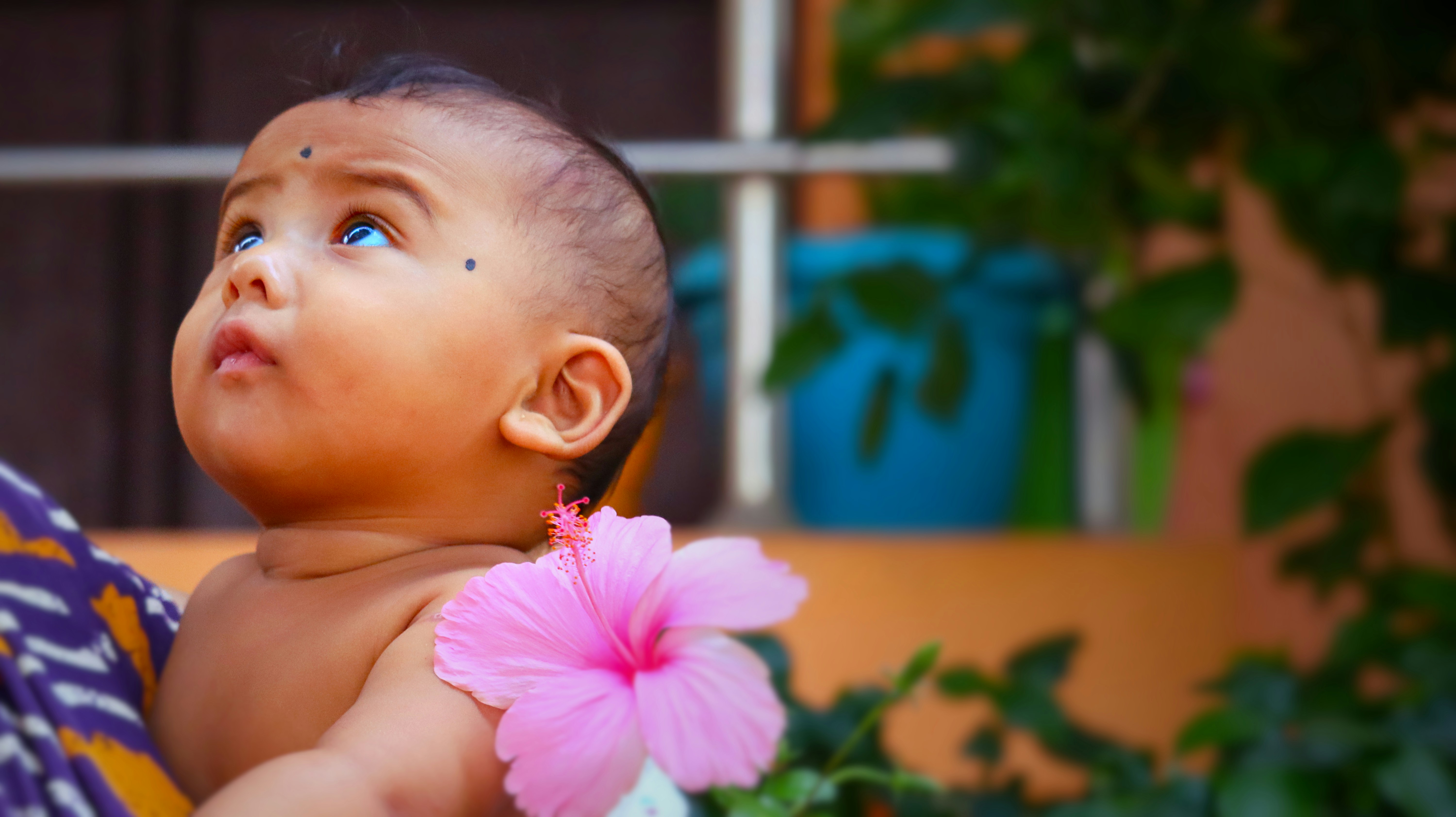 Gaze of Wonder: A Baby's Upward Look Amid a Hibiscus Bloom