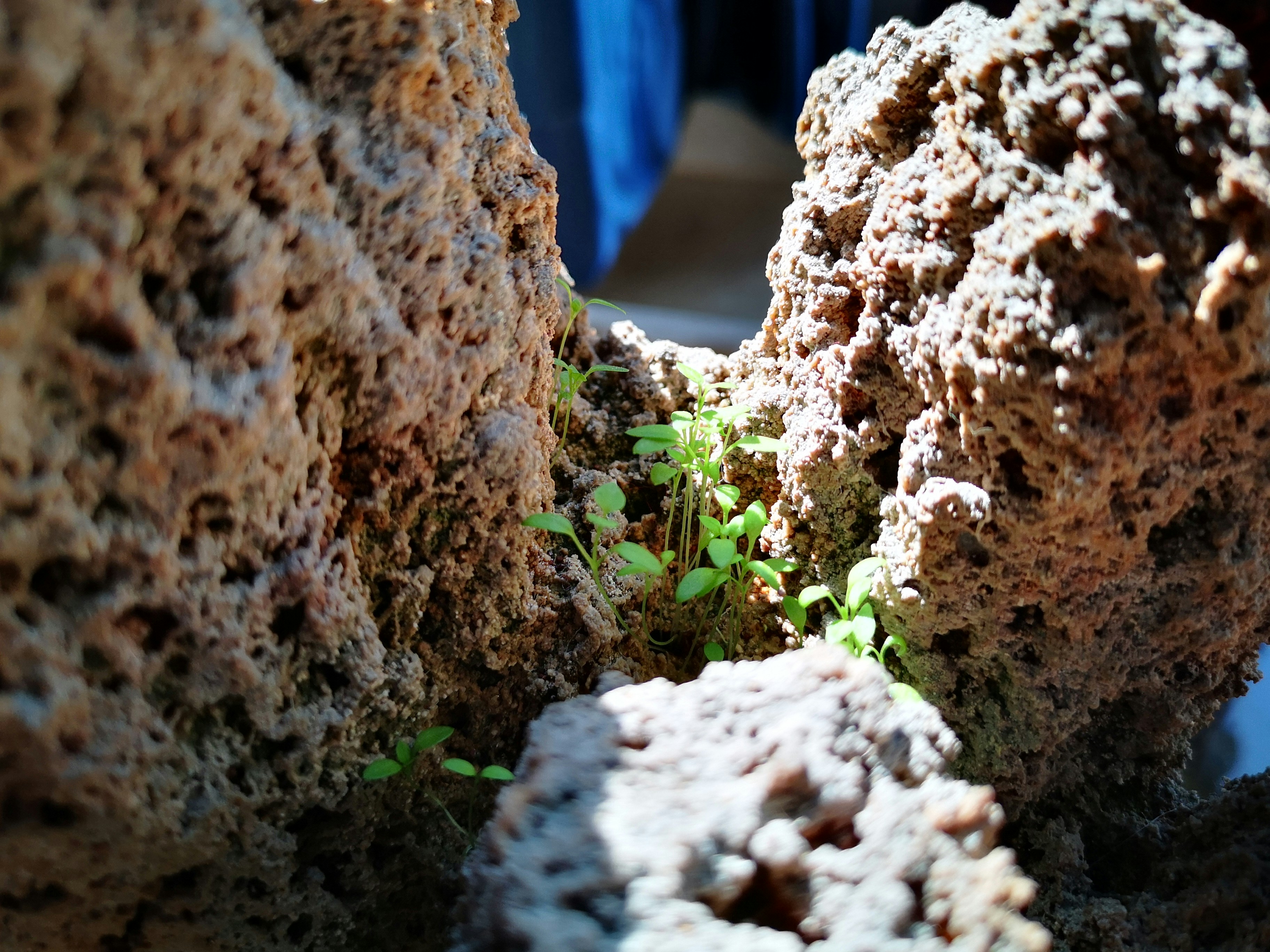 Xue ming (@wendygym) | Unsplashフォトコミュニティ