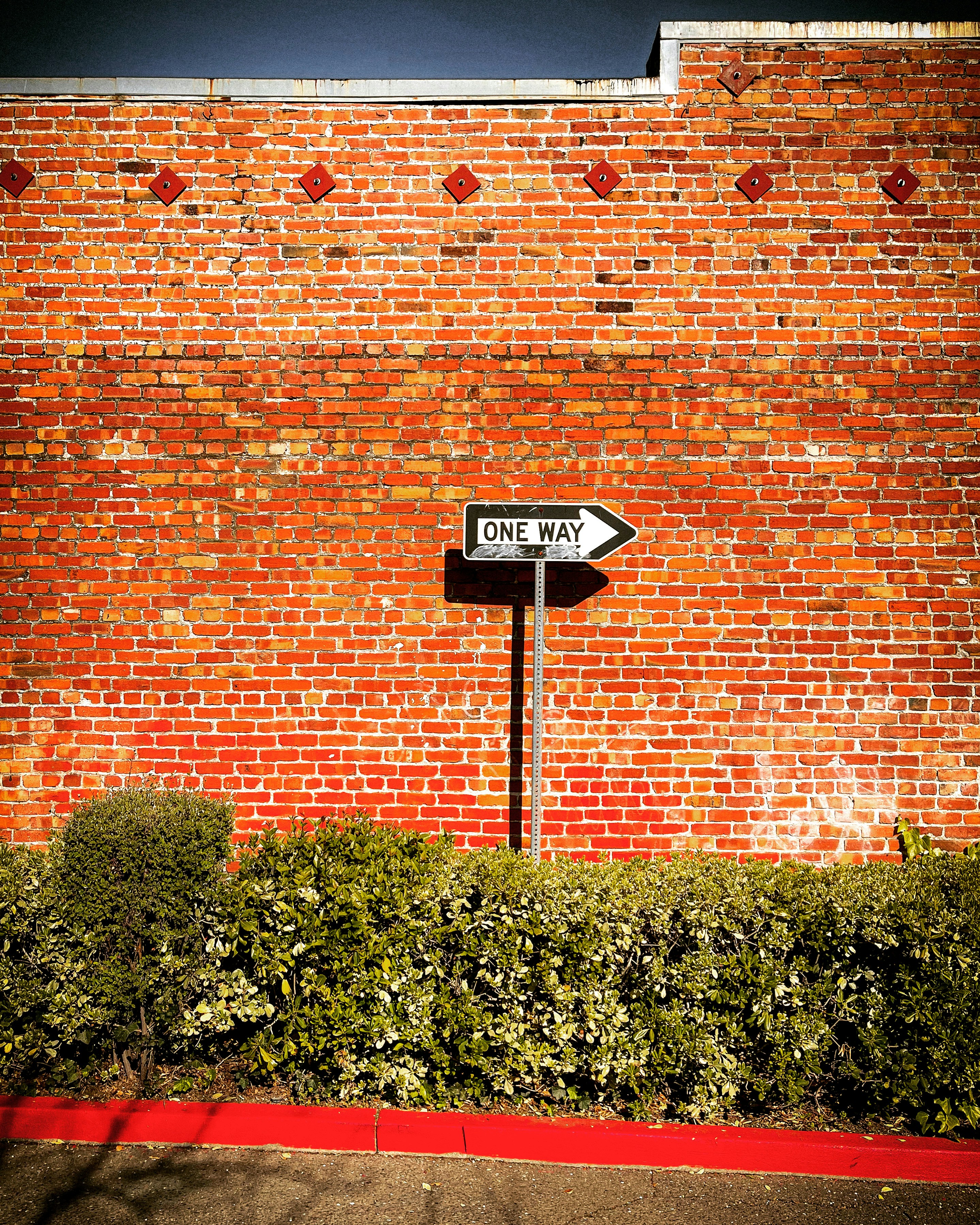 One Way to a Brick-Colored Street: A Minimal Urban Sign Amid Red Wall