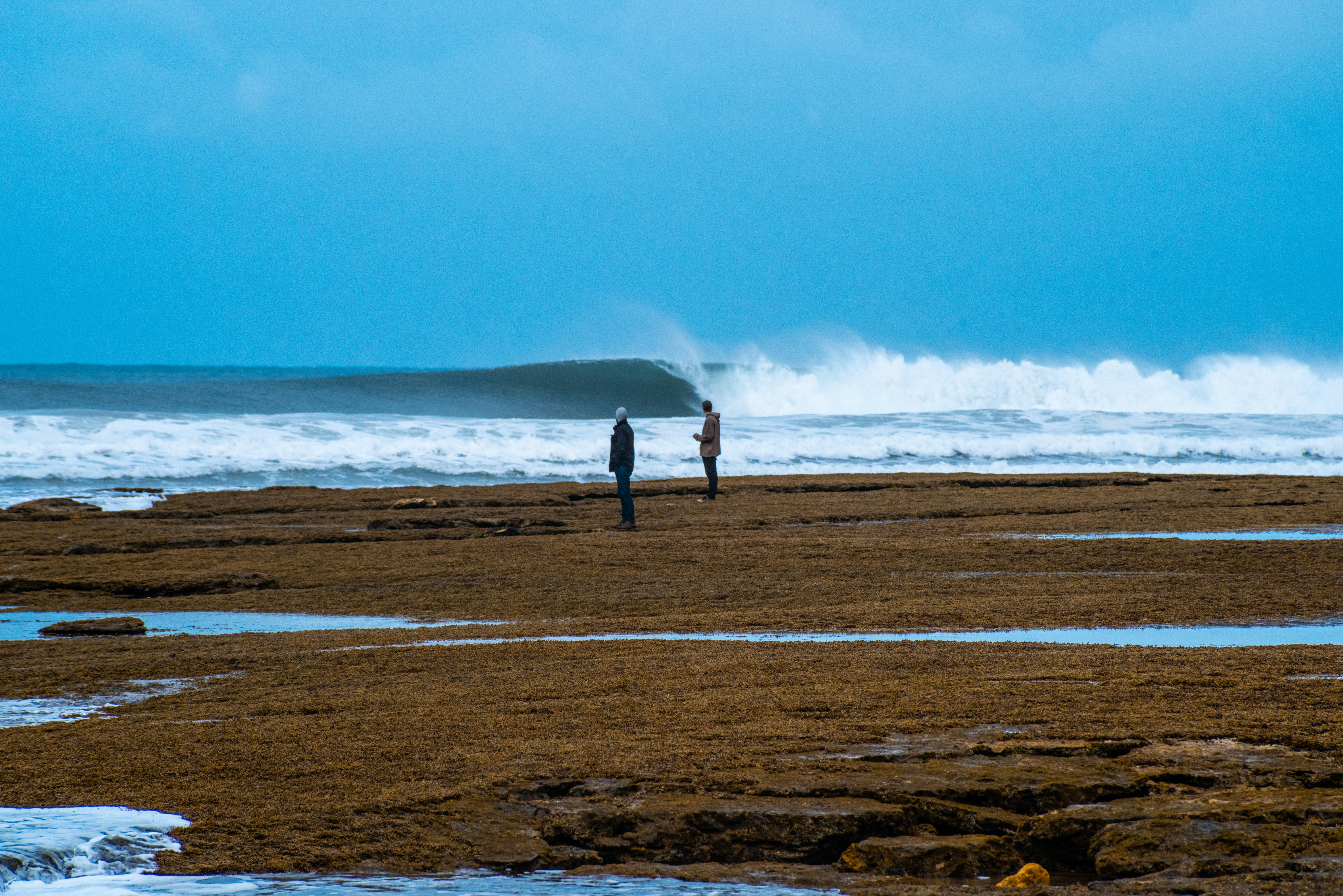 Solitude on the Tidal Flats