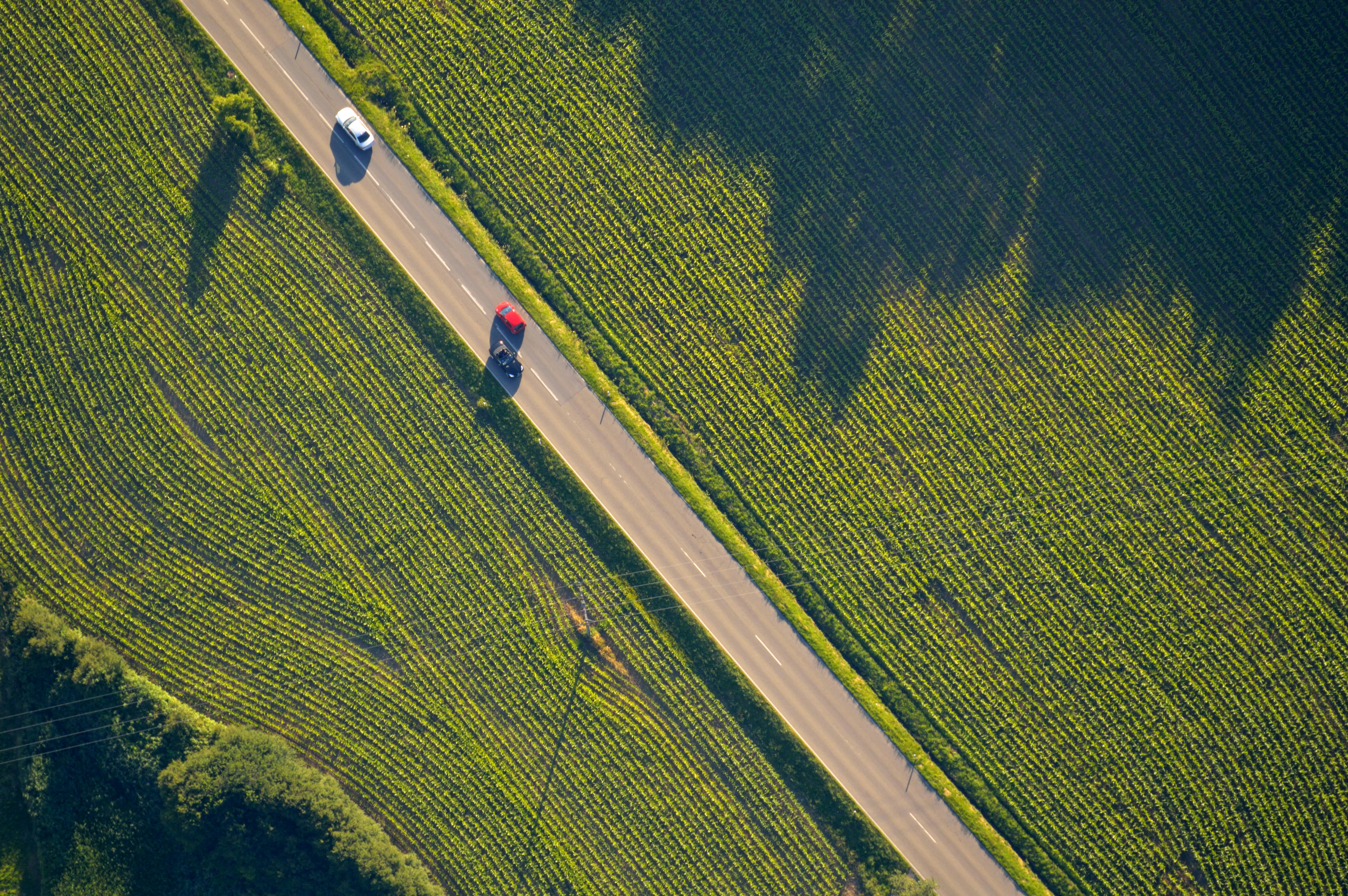 Red Car on a Diagonal Ribbon Through Verdant Fields