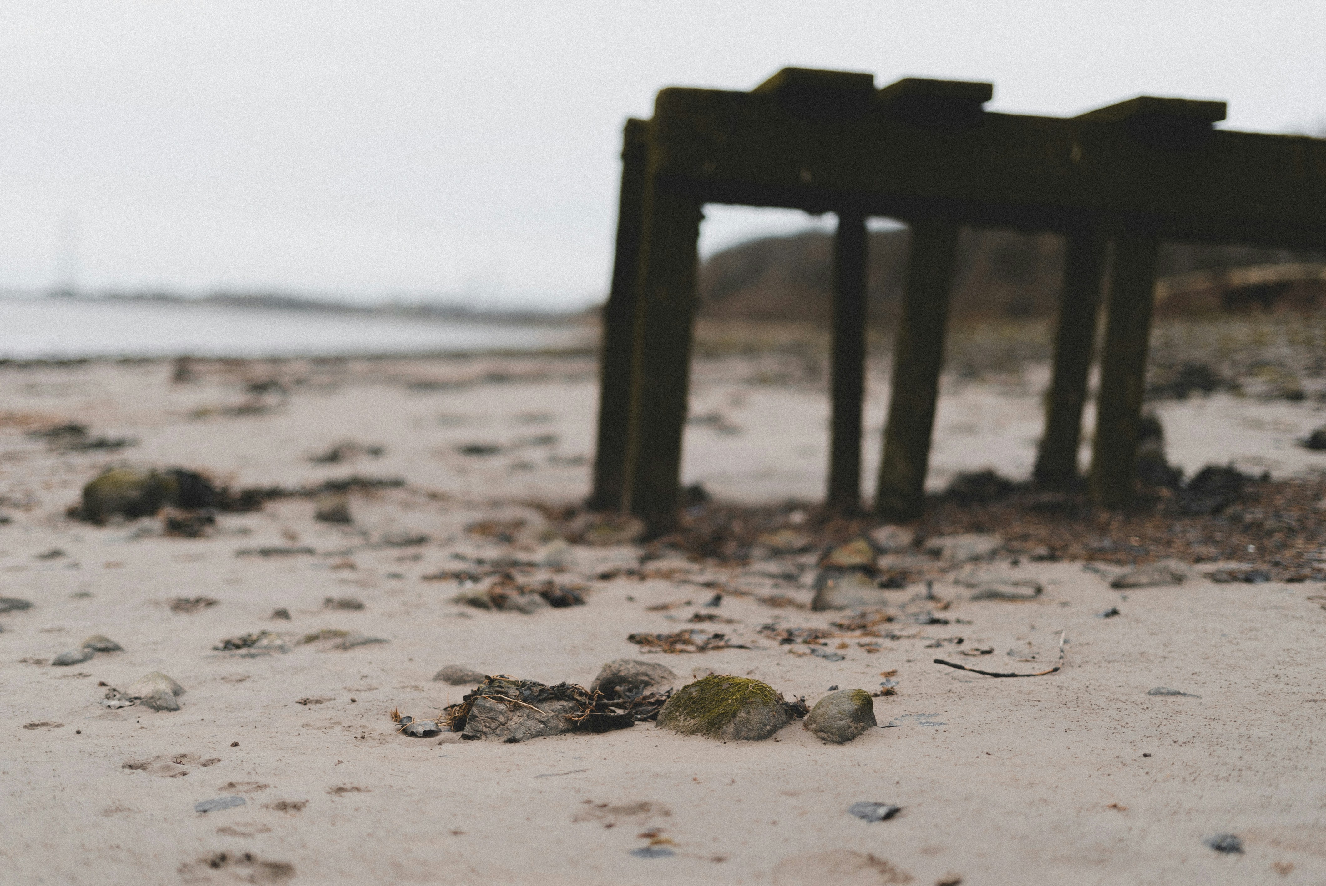 Brown wooden dock on beach during daytime photo – Free Beach Image on ...