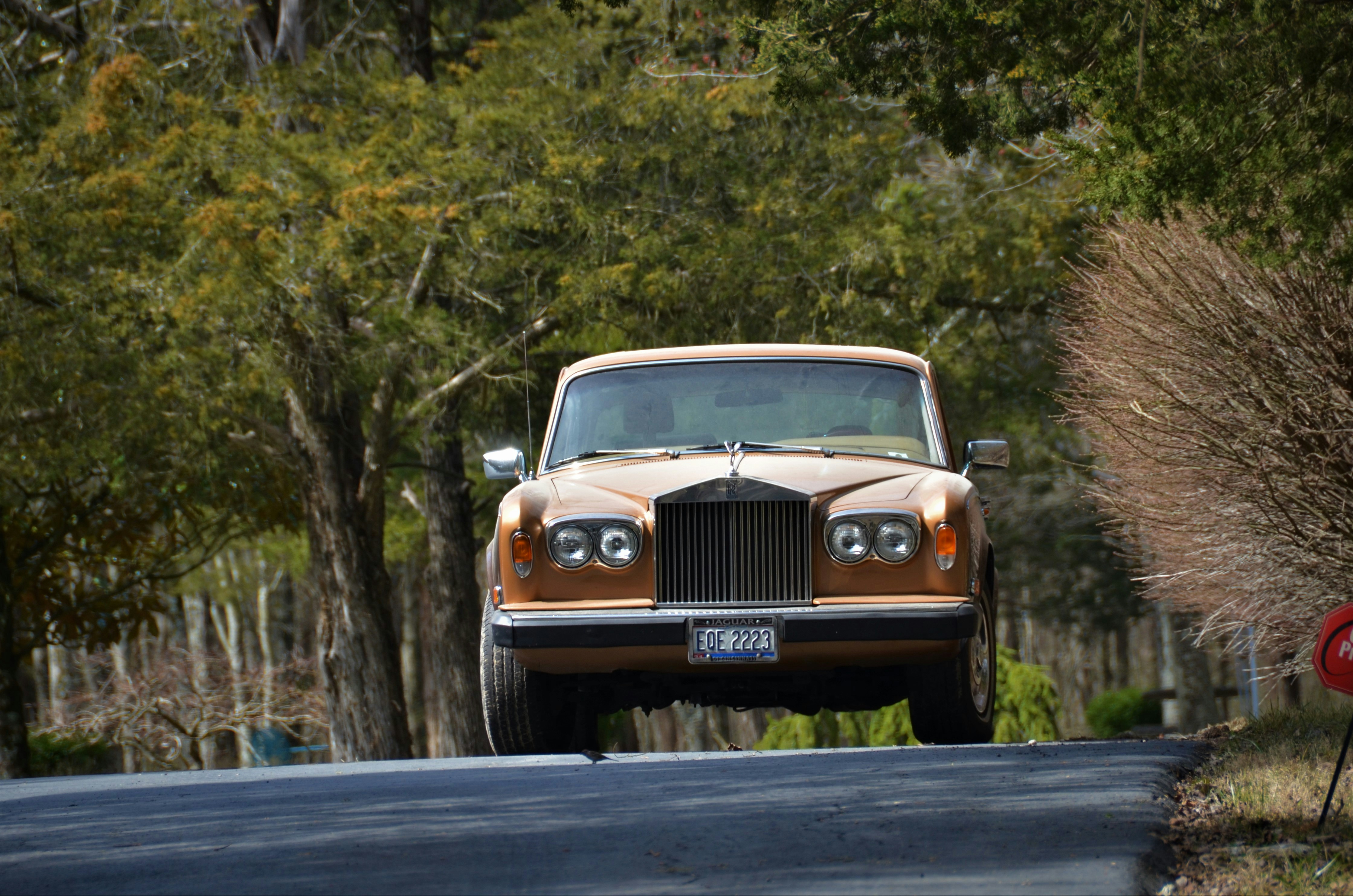 Front-On Vintage Luxury on a Quiet Tree-Lined Road