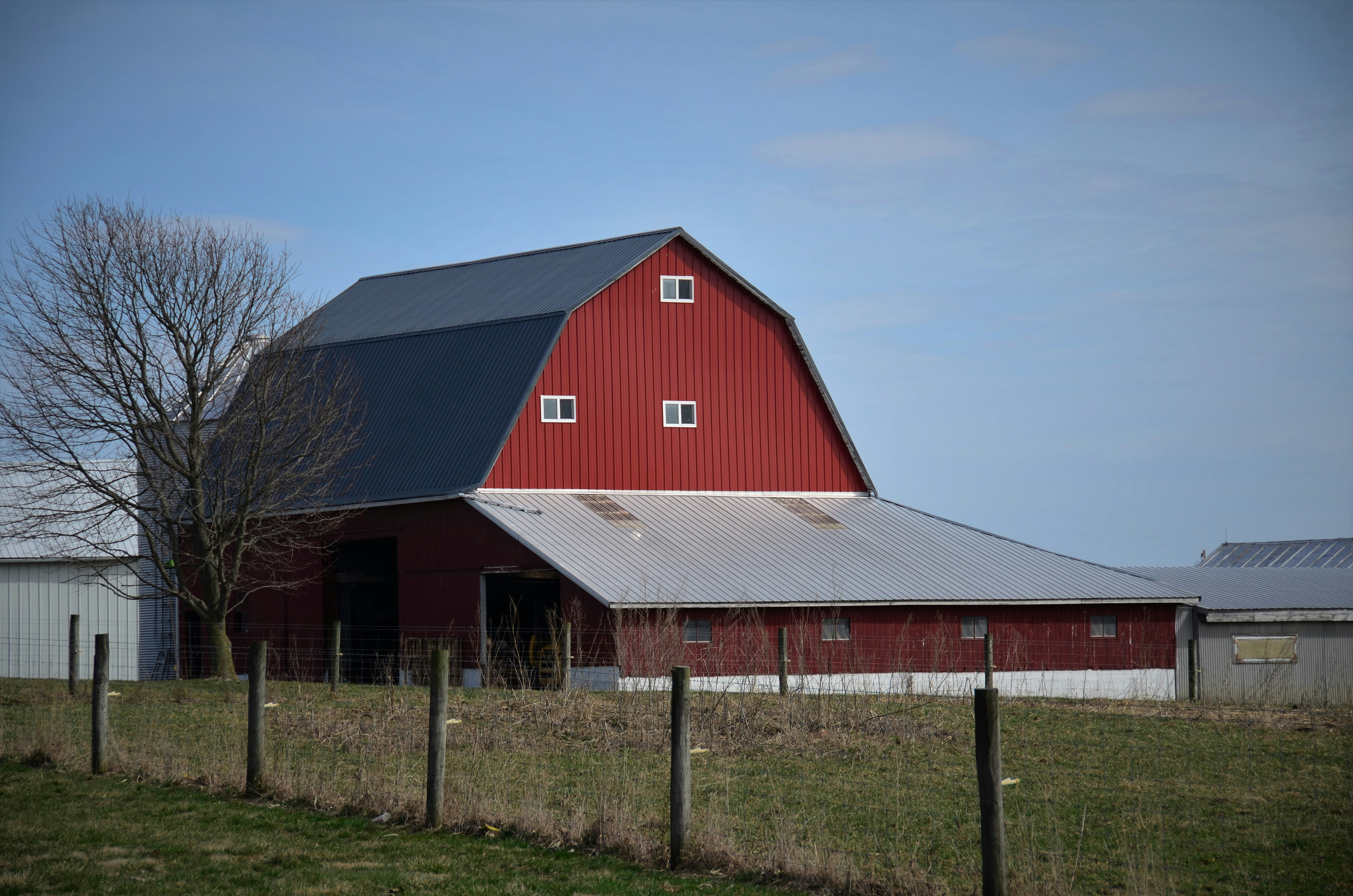 Red barn house near bare trees under blue sky during daytime photo ...