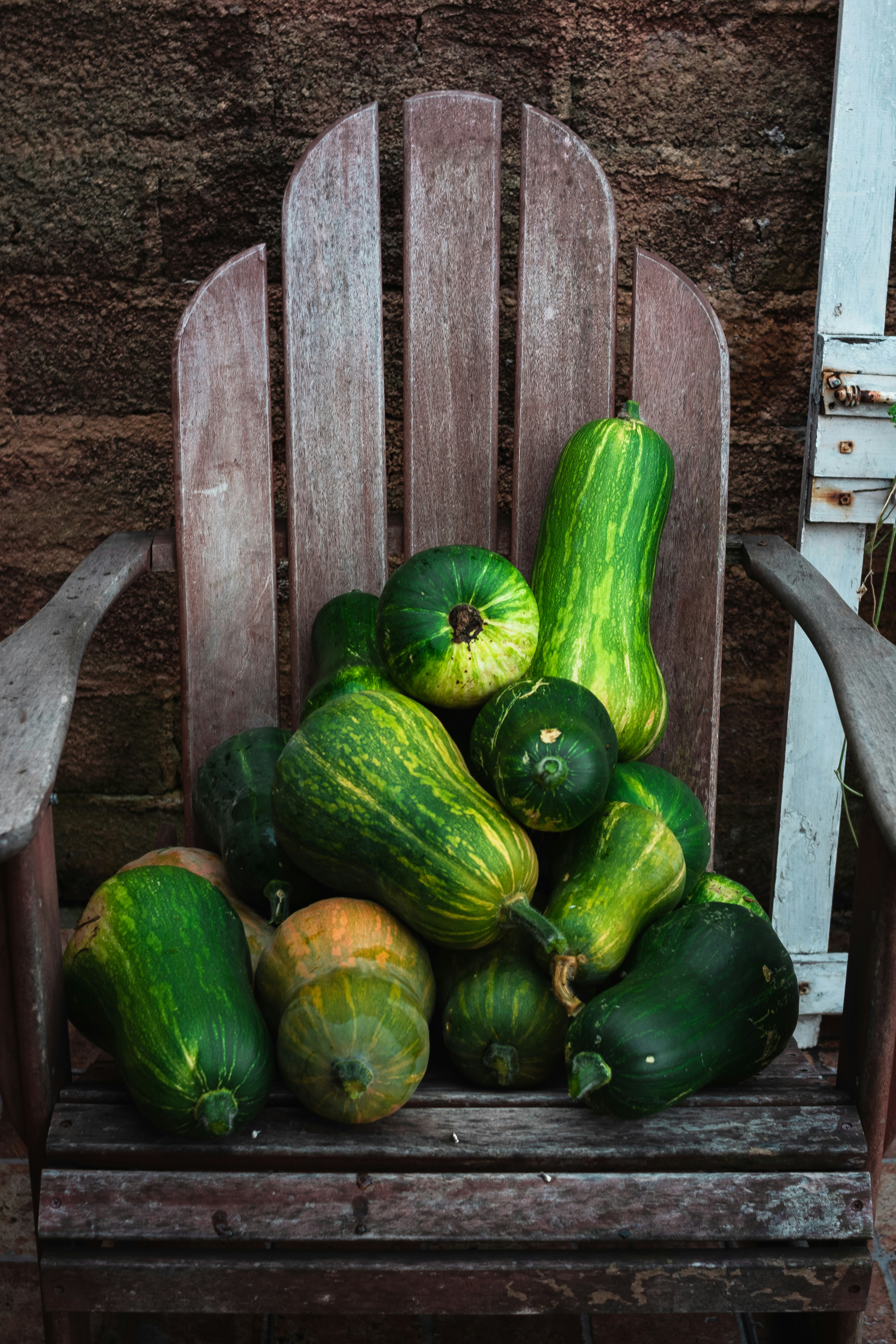 Verdant Bounty on a Weathered Adirondack Chair
