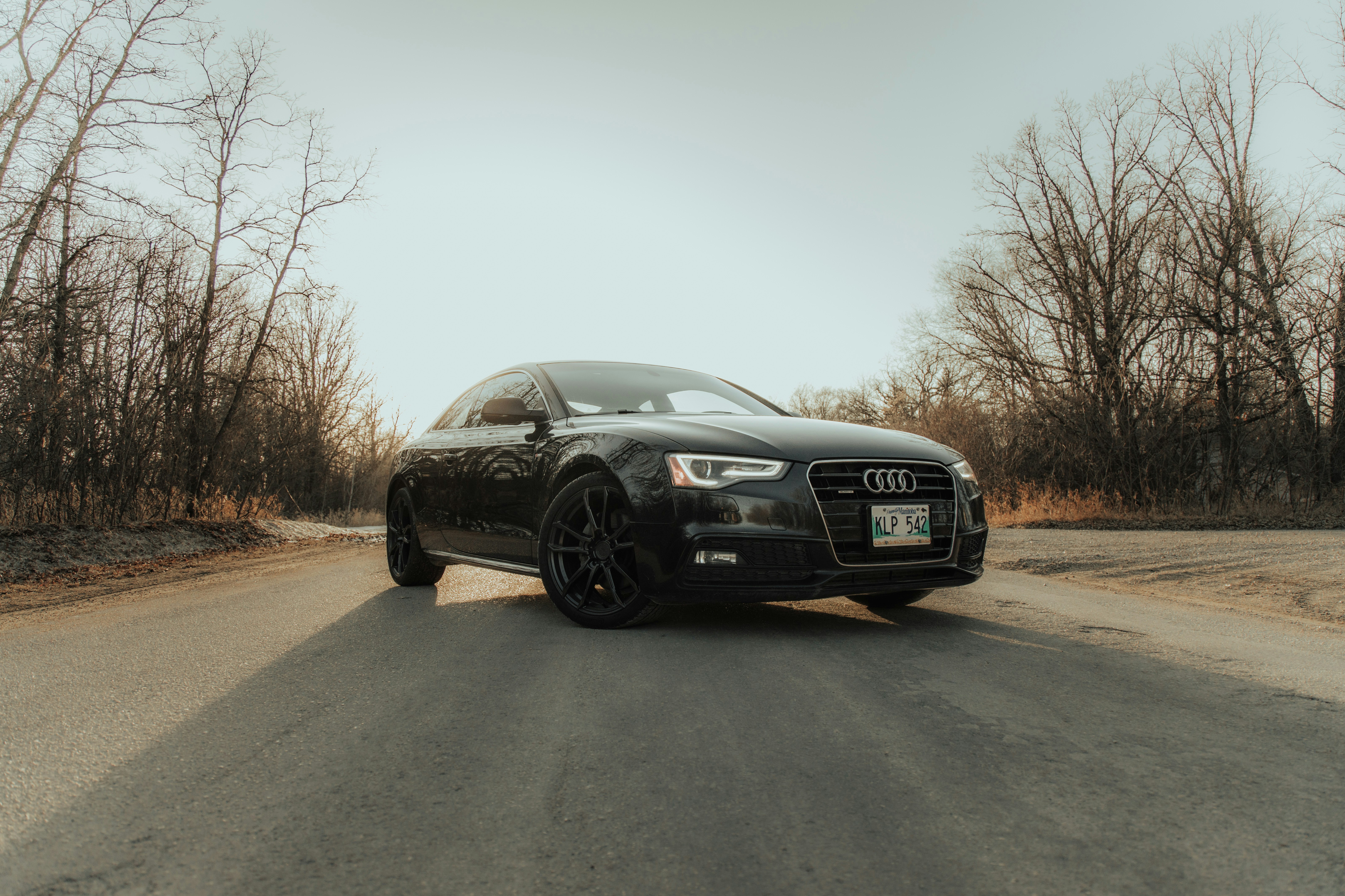 Sleek black Audi A5 parked on a rural road surrounded by bare trees, showcasing its modern design and sporty stance.