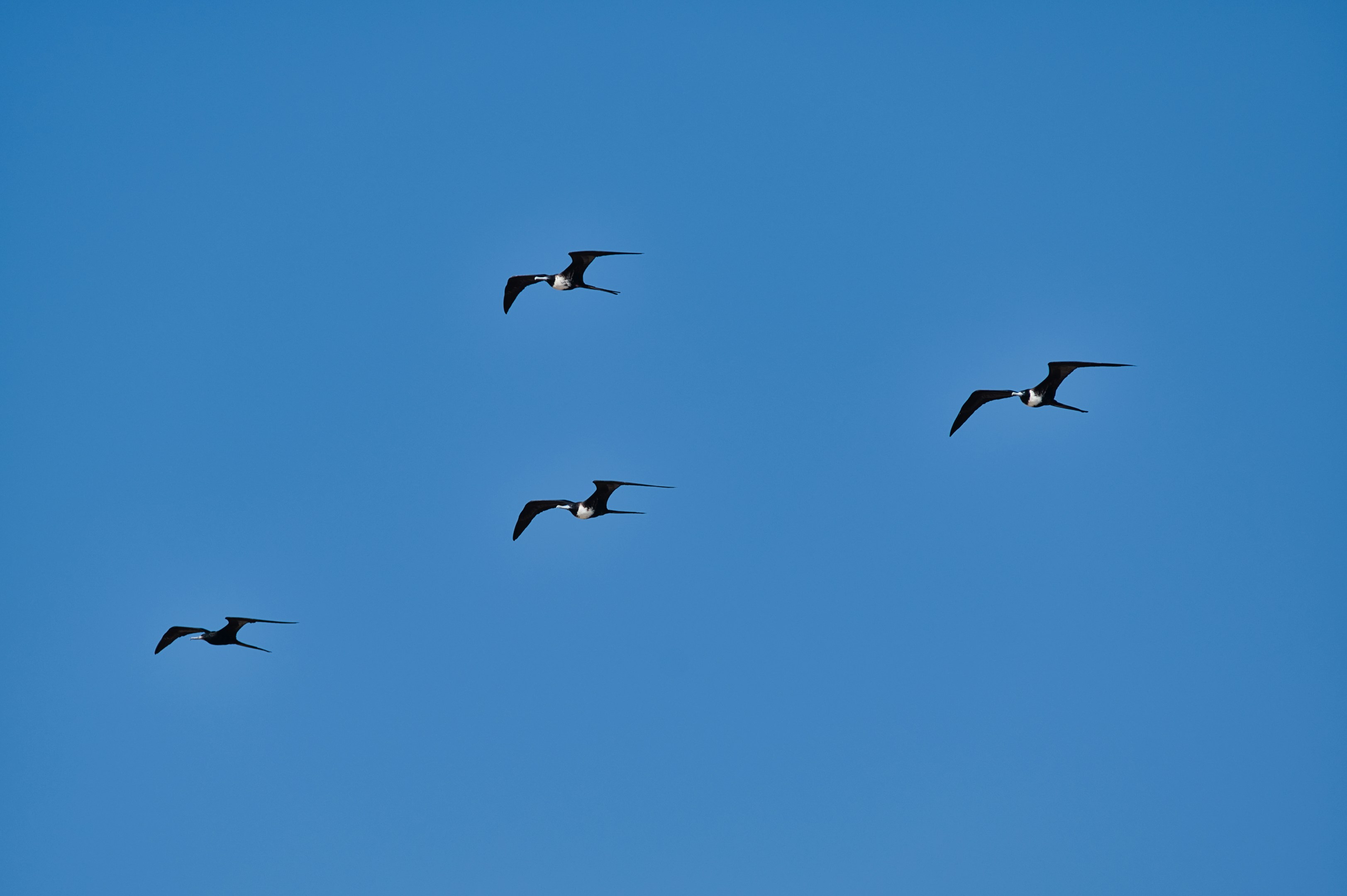 Sample photo from Nikon Z6