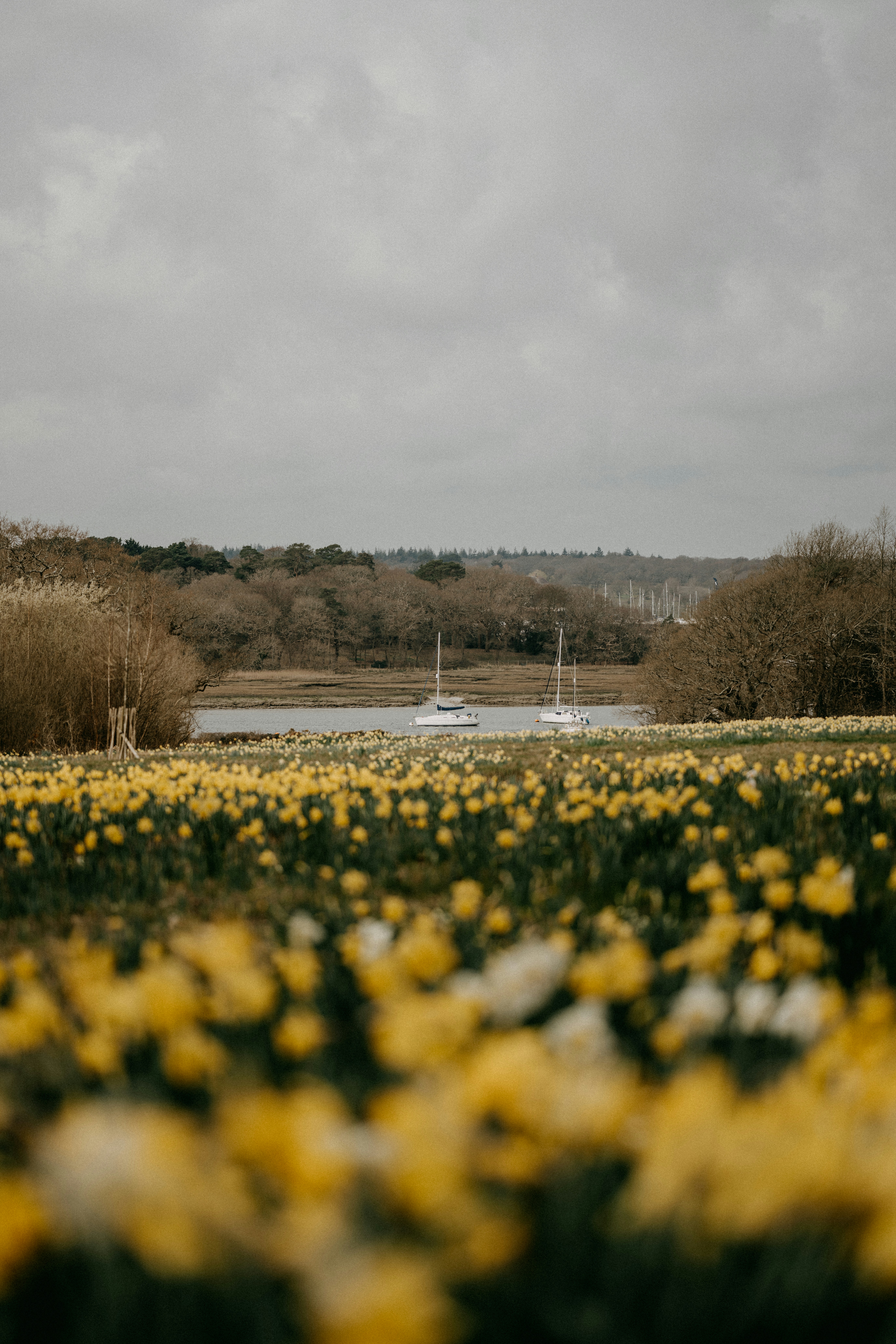 Field of Yellow: Boats on a Quiet River Under Overcast Skies
