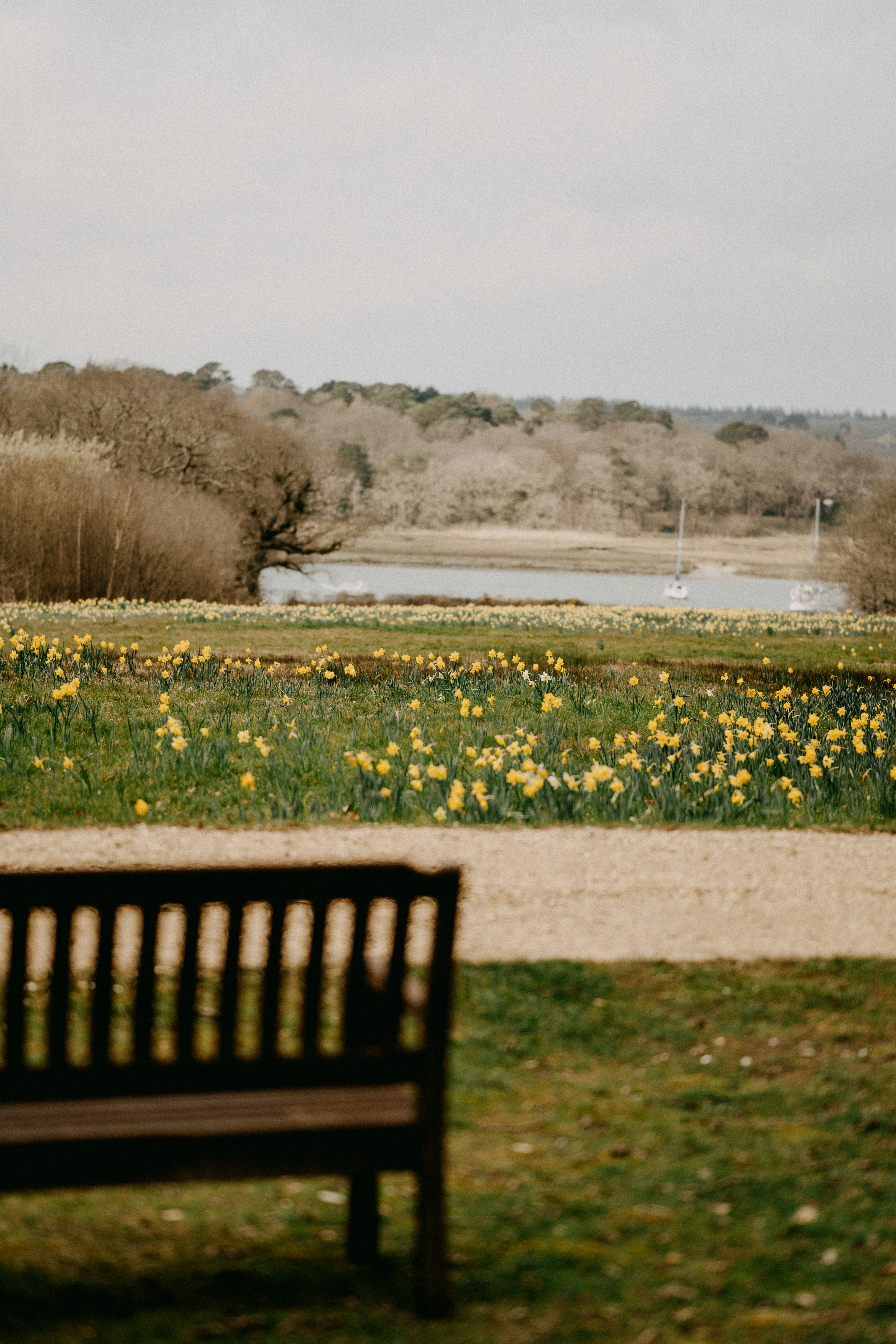 brown wooden bench on green grass field near body of water during daytime