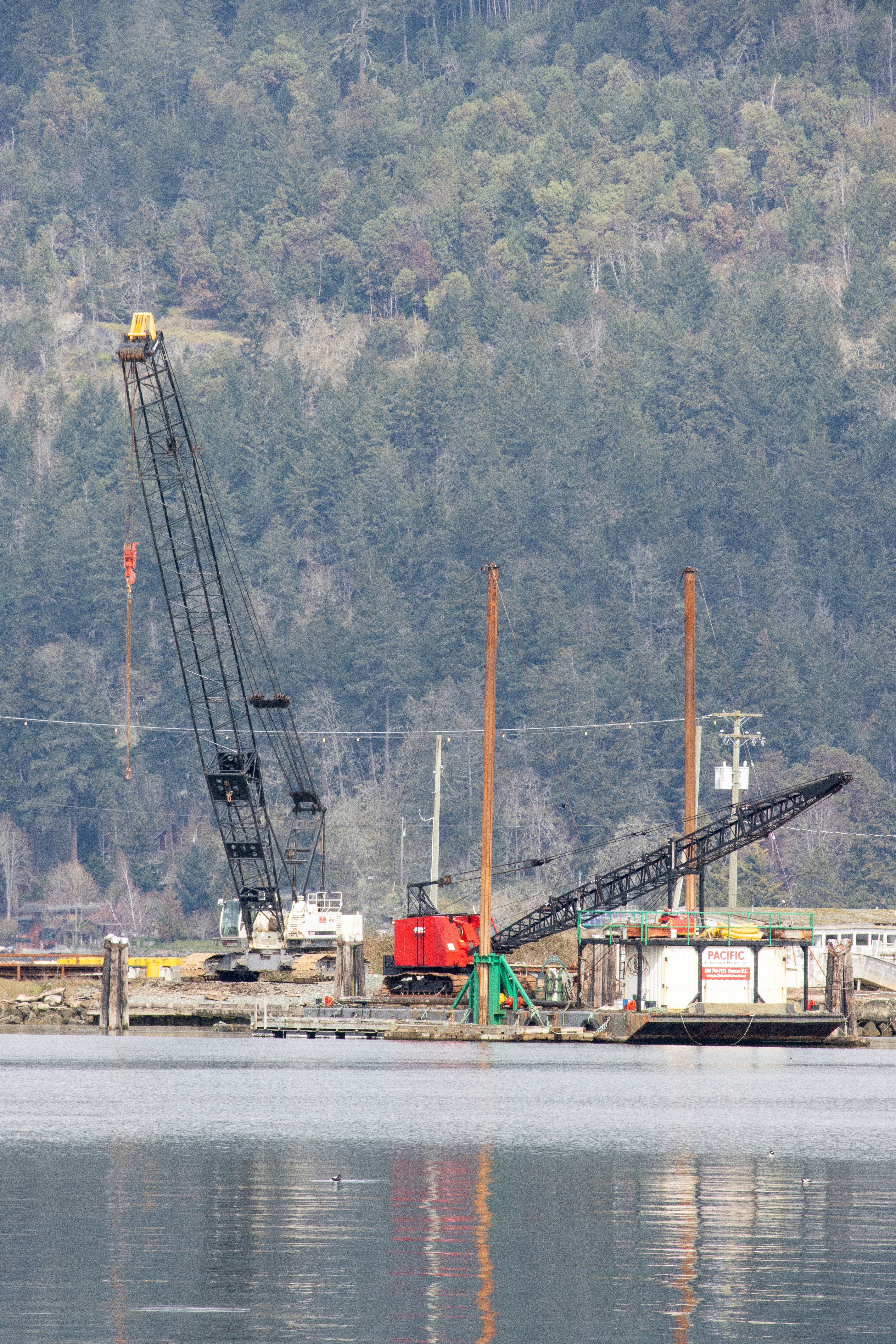 Left-Leaning Crane Over a Quiet Harbor