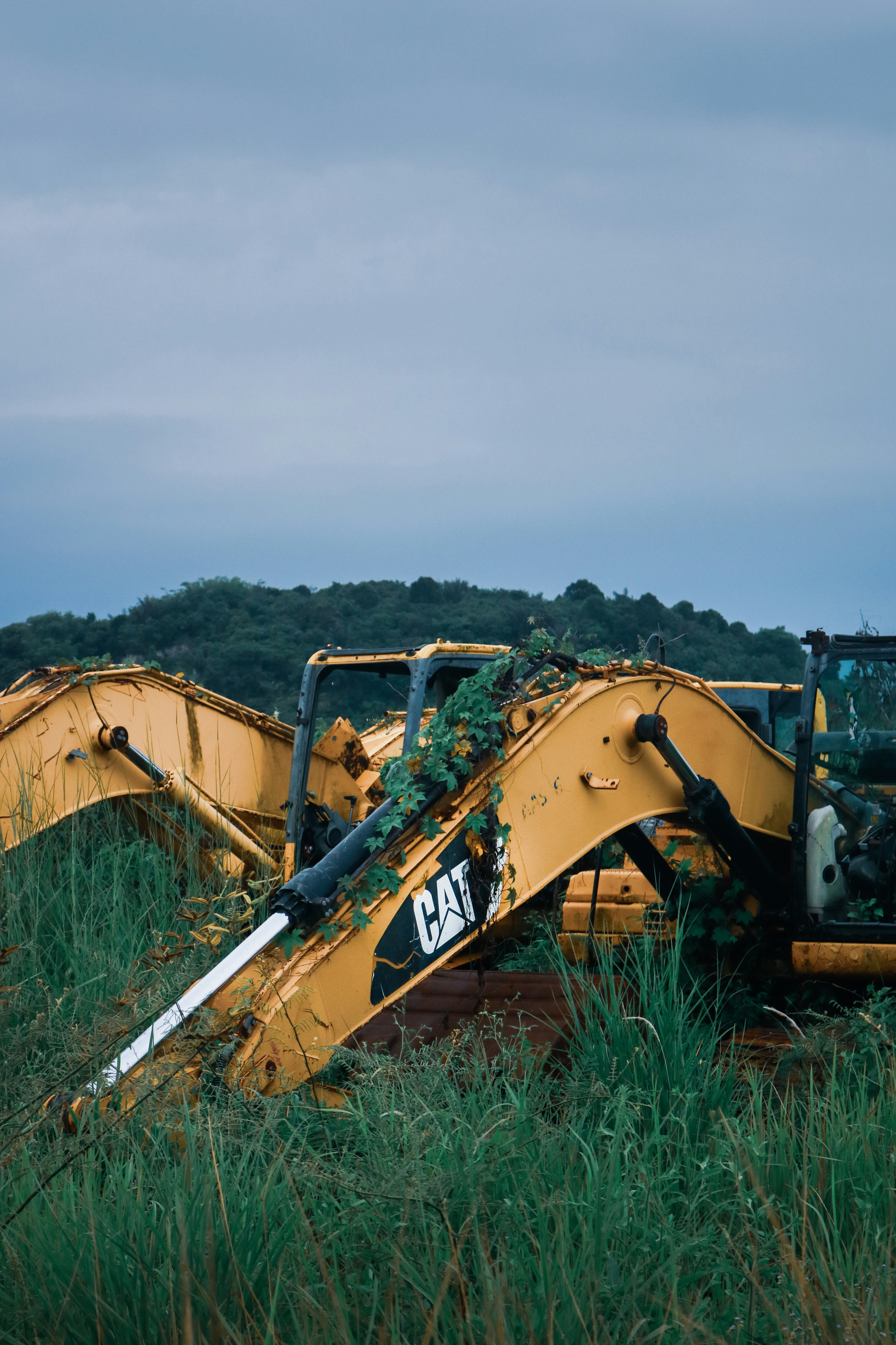 Abandoned yellow excavators overrun by lush green vegetation, set against a moody sky.