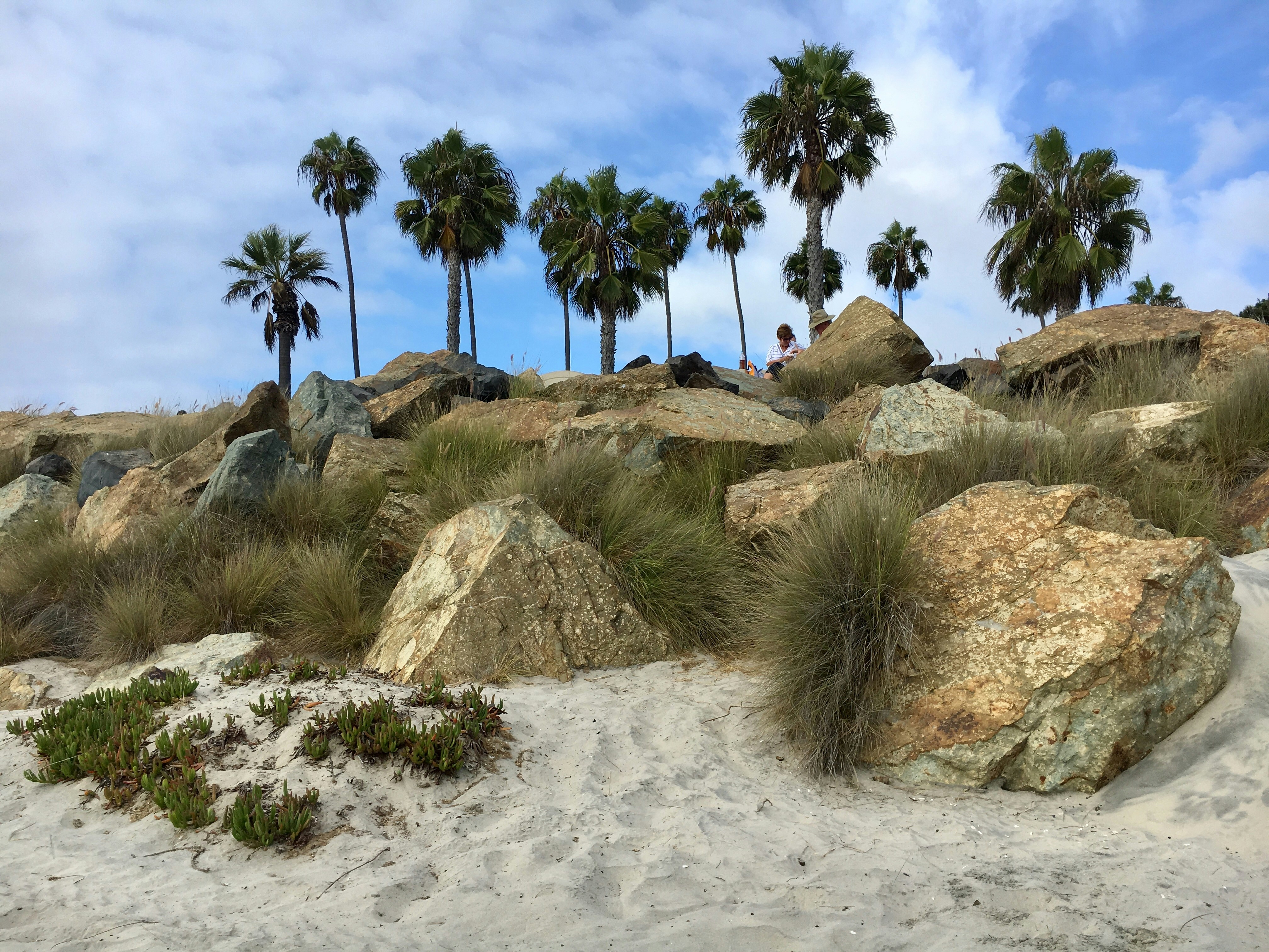 Sergiy Seryogin (@cyber_baller) | Unsplash Photo Community