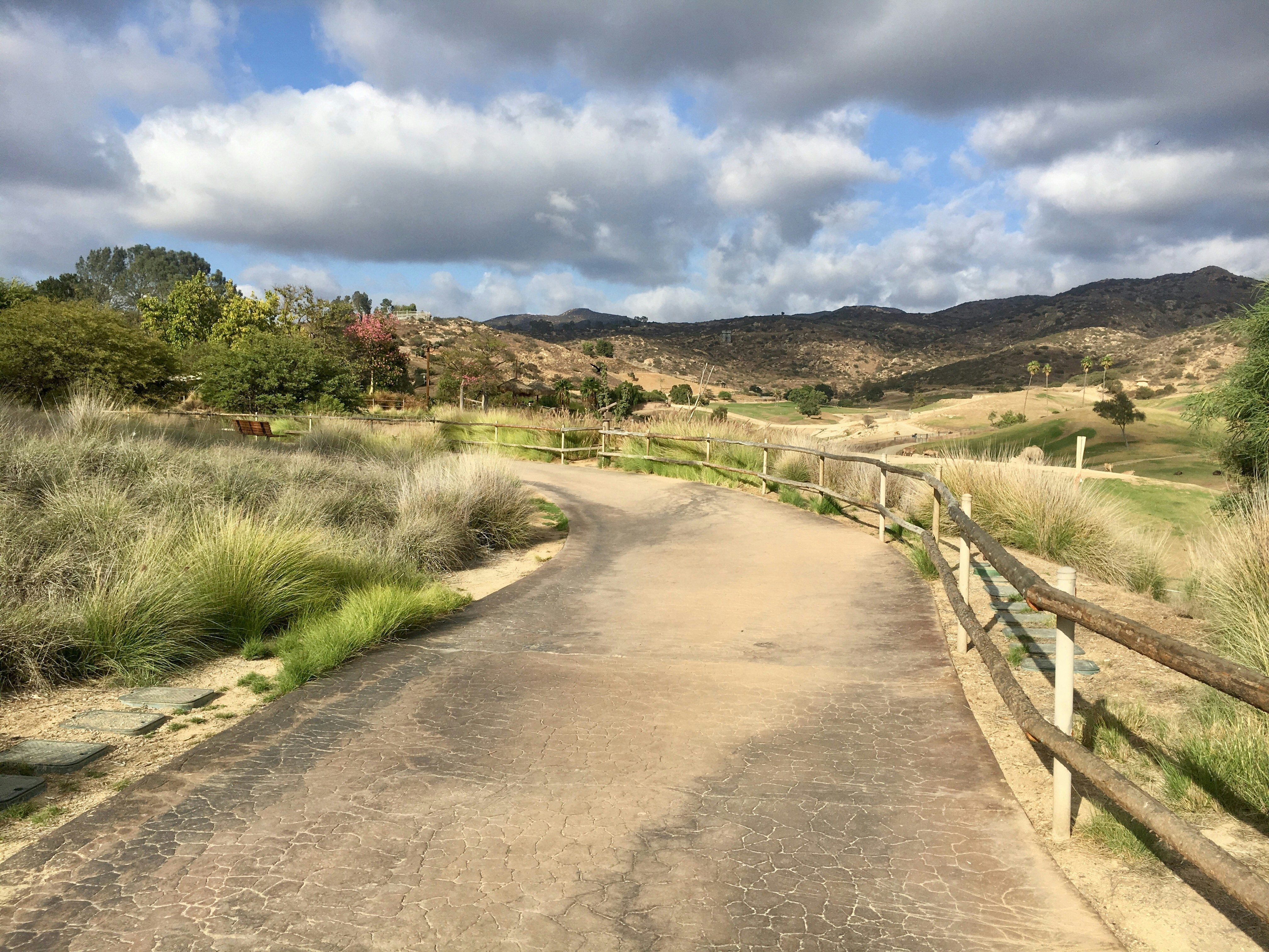 Sergiy Seryogin (@cyber_baller) | Unsplash Photo Community