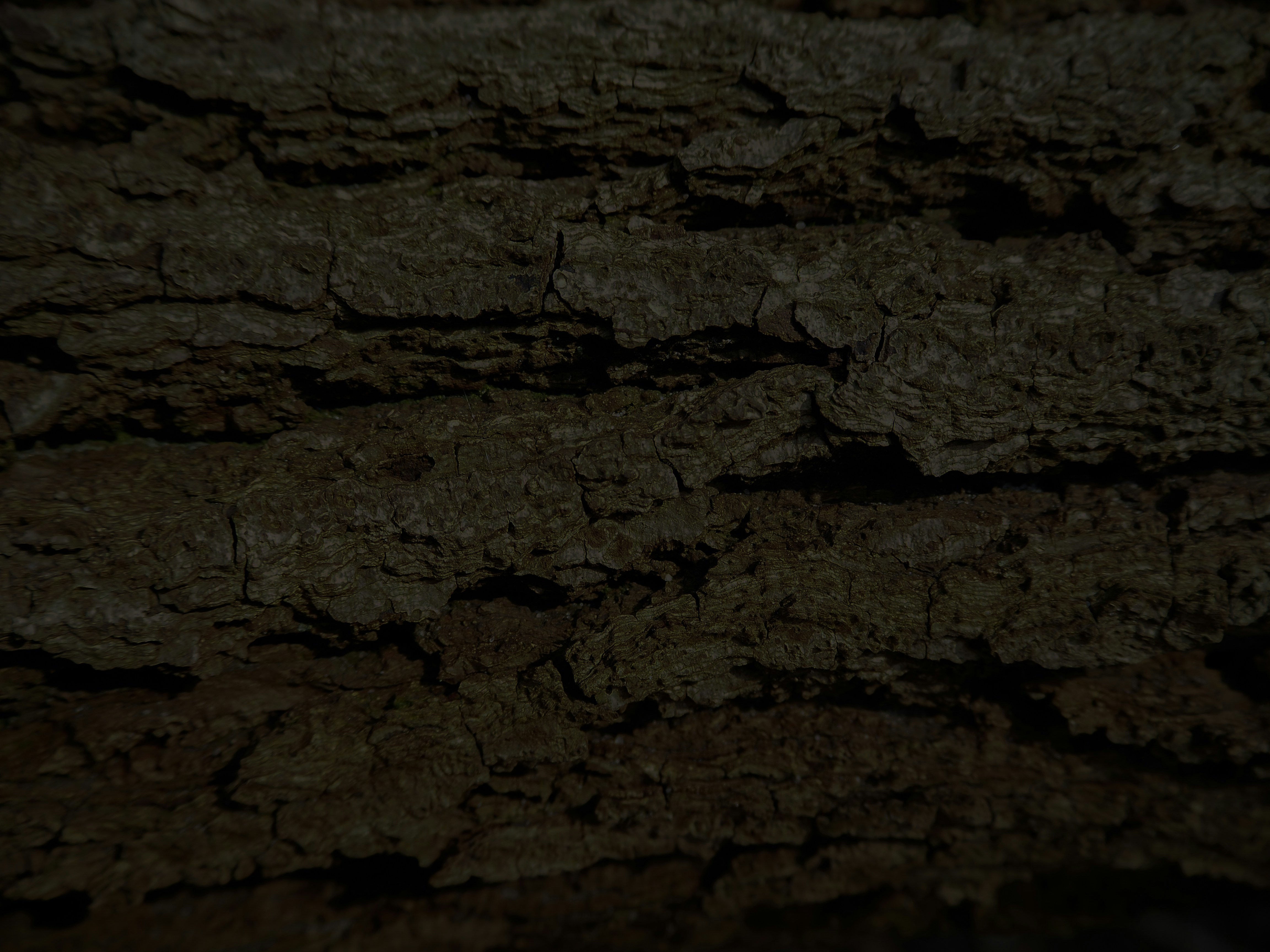 Black Ground Pictures [HQ] | Download Free Images & Stock Photos on ...