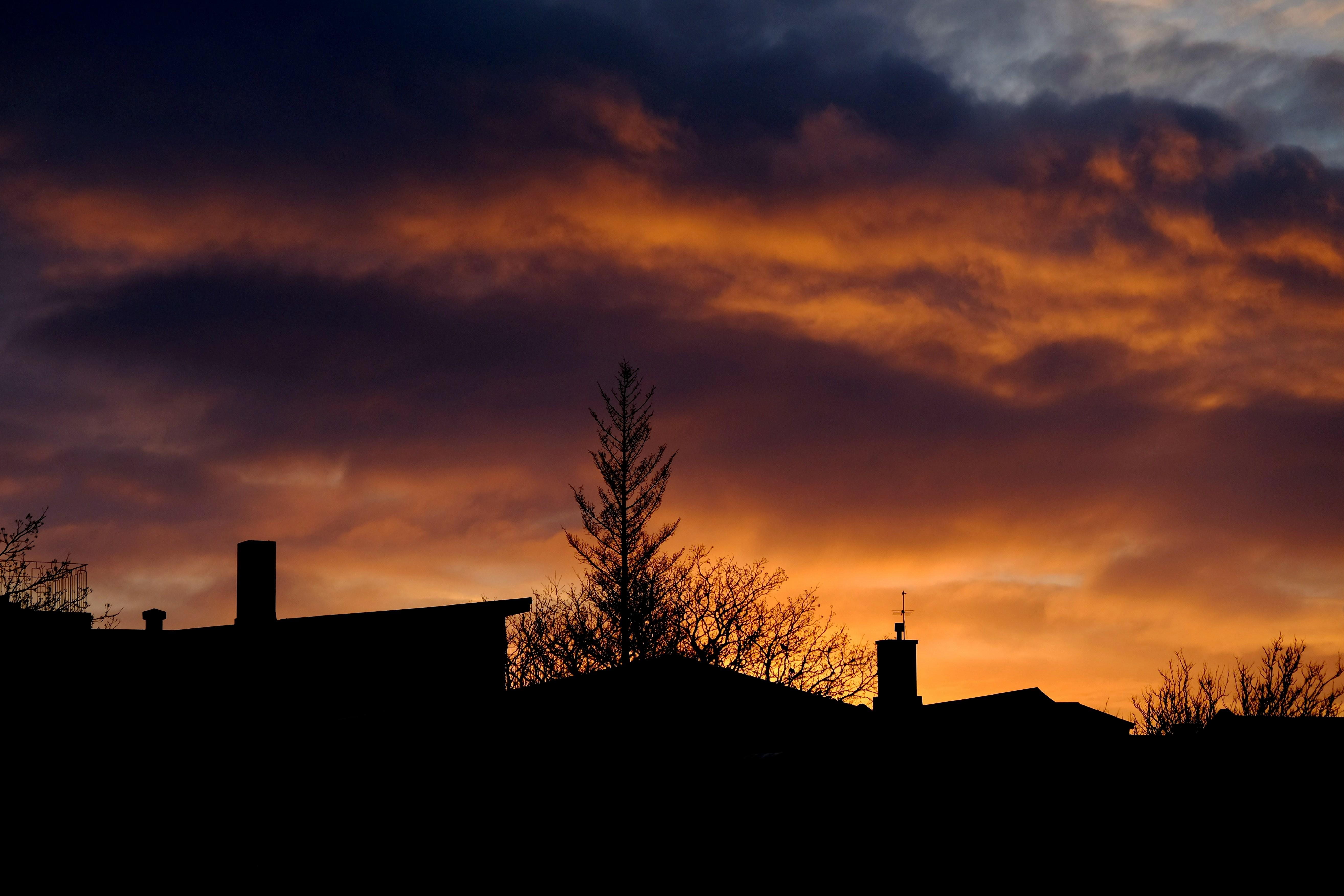 Silhouetted rooftops and trees against a vibrant sunset sky, showcasing a palette of deep oranges and purples.