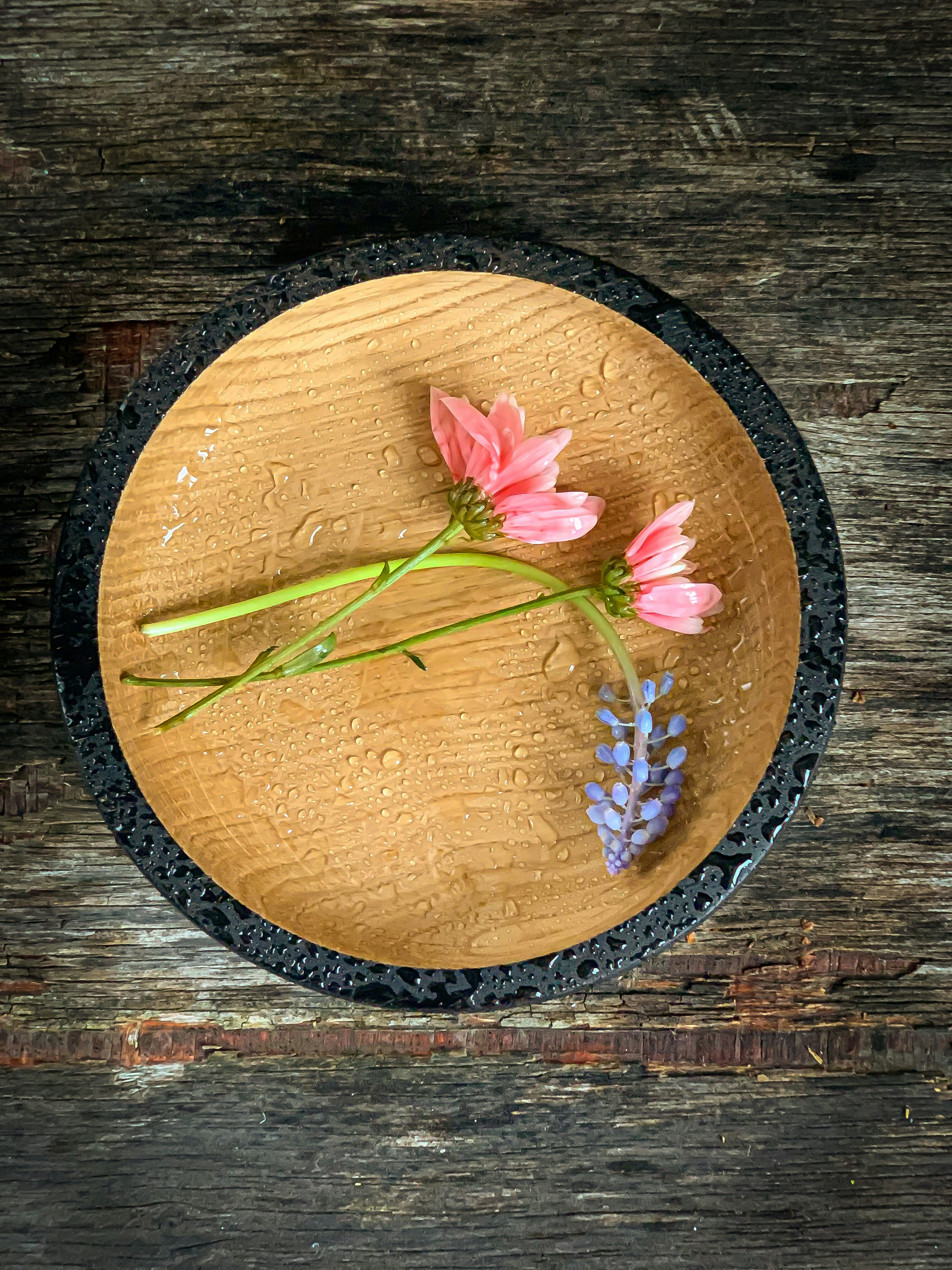 Delicate pink and blue flowers resting on a wooden plate, adorned with droplets of water, showcasing a serene arrangement.