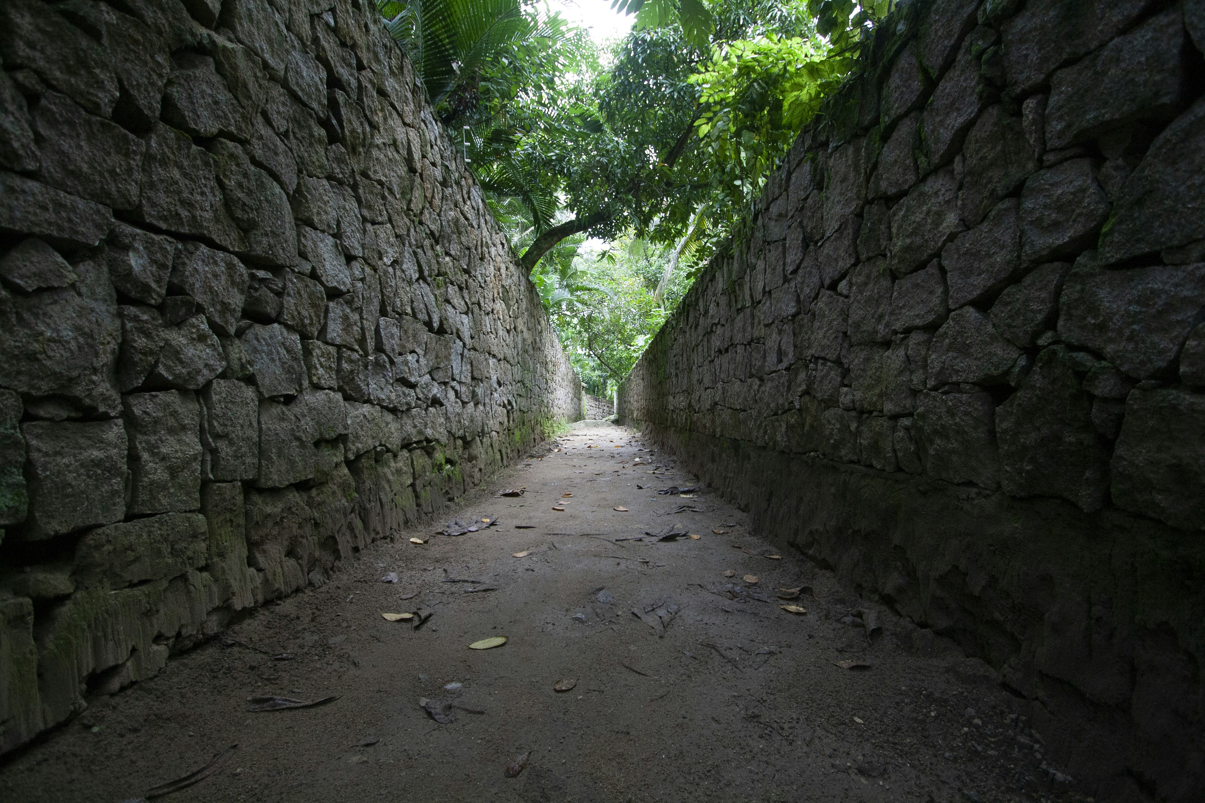 Narrow stone pathway flanked by weathered walls, leading into a lush green canopy. The earthy path is scattered with leaves, inviting exploration.