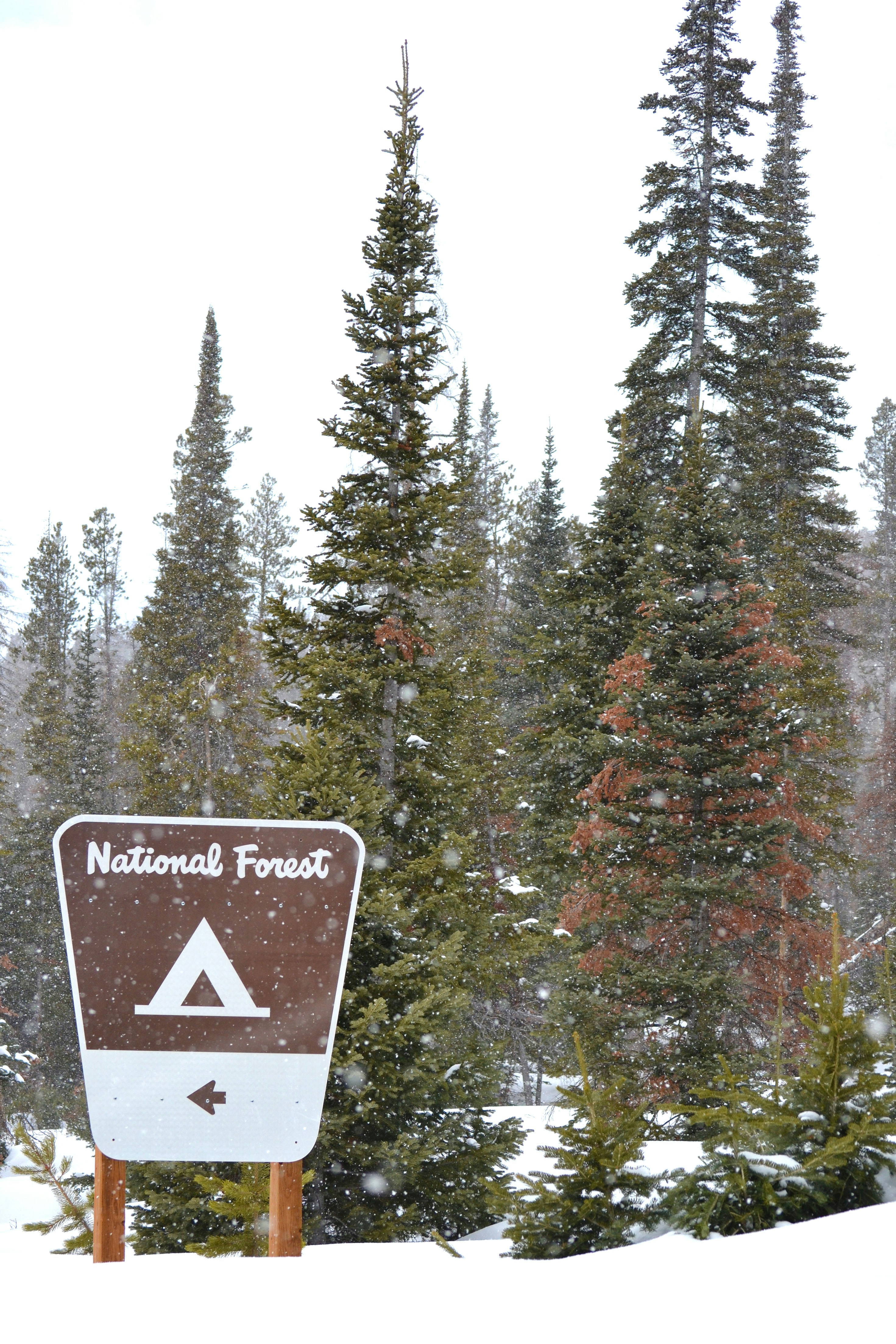 white and black arrow sign