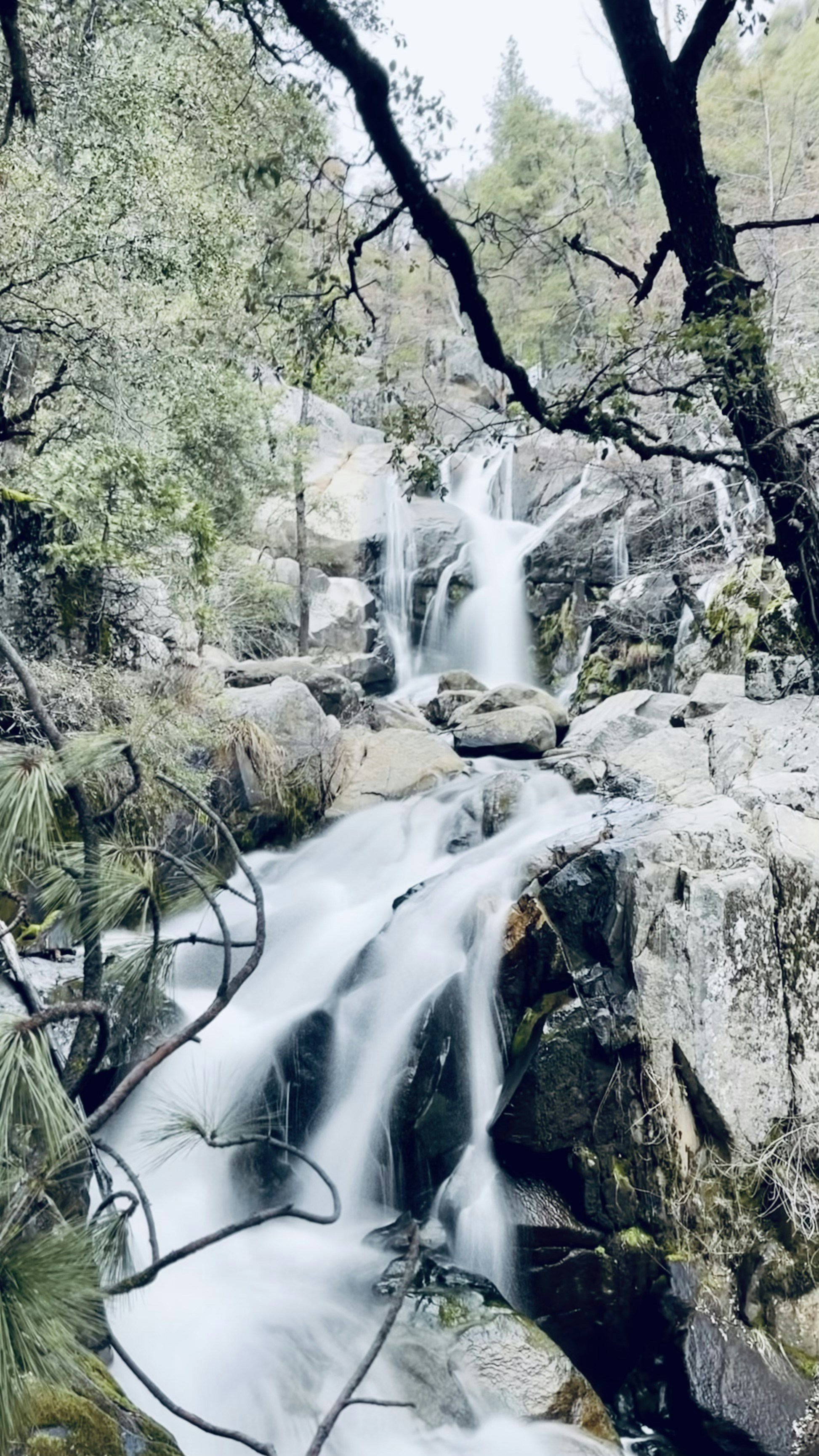 Whispering Cascade Through Mossy Granite