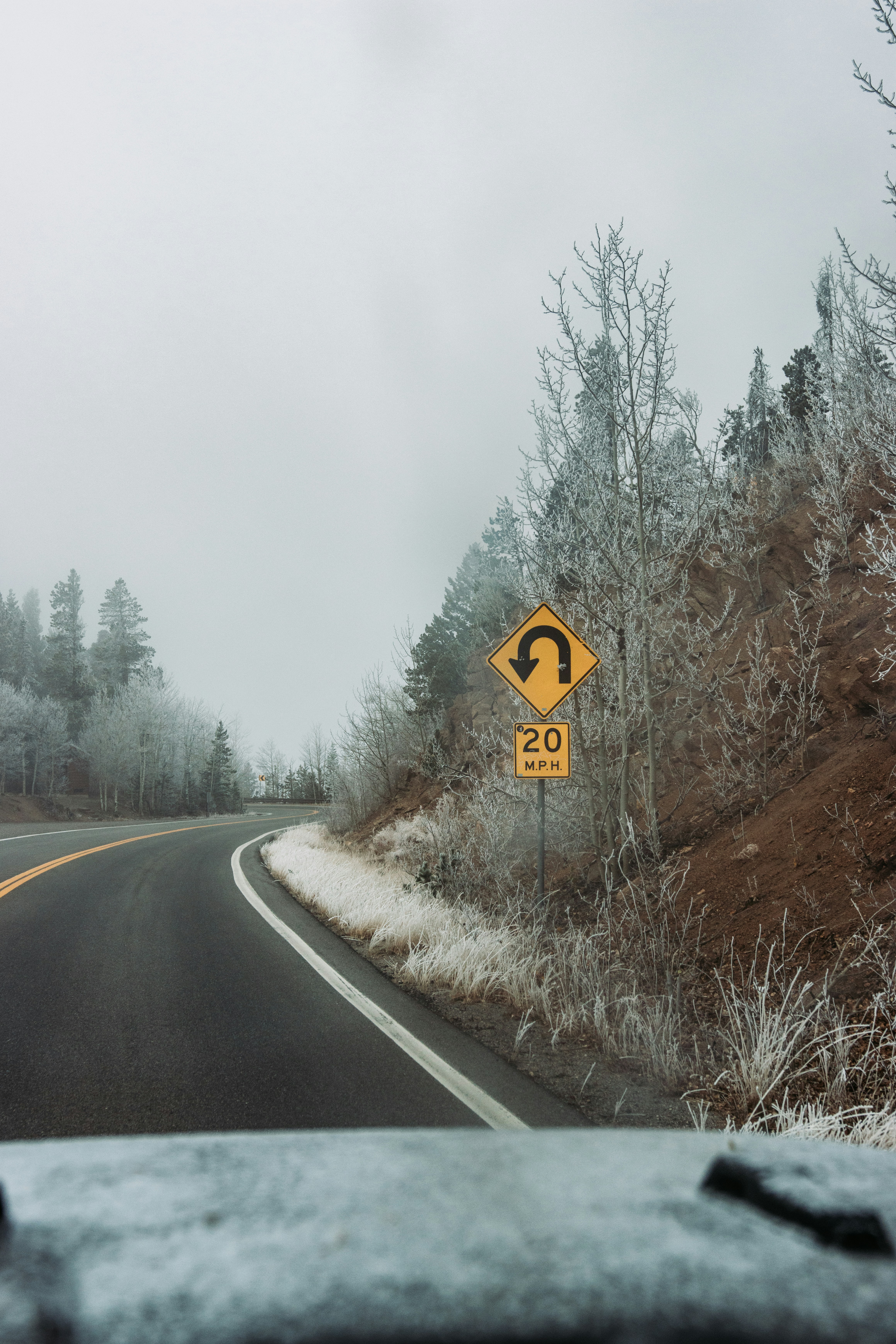 Winter's Frosted Bend and the Quiet U-Turn Sign