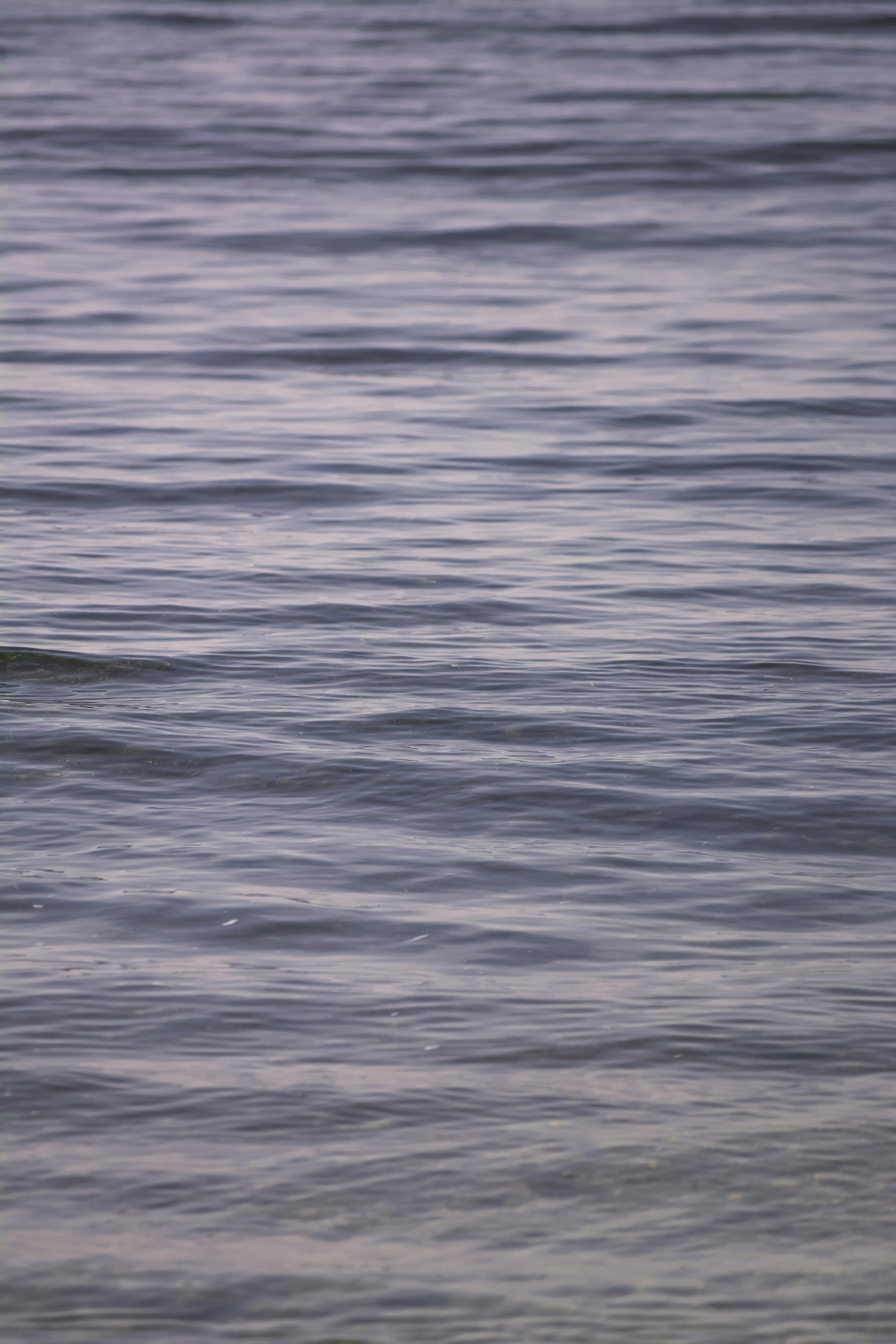 Quiet Blue Ripples: Subtle Light on a Calm Water Surface