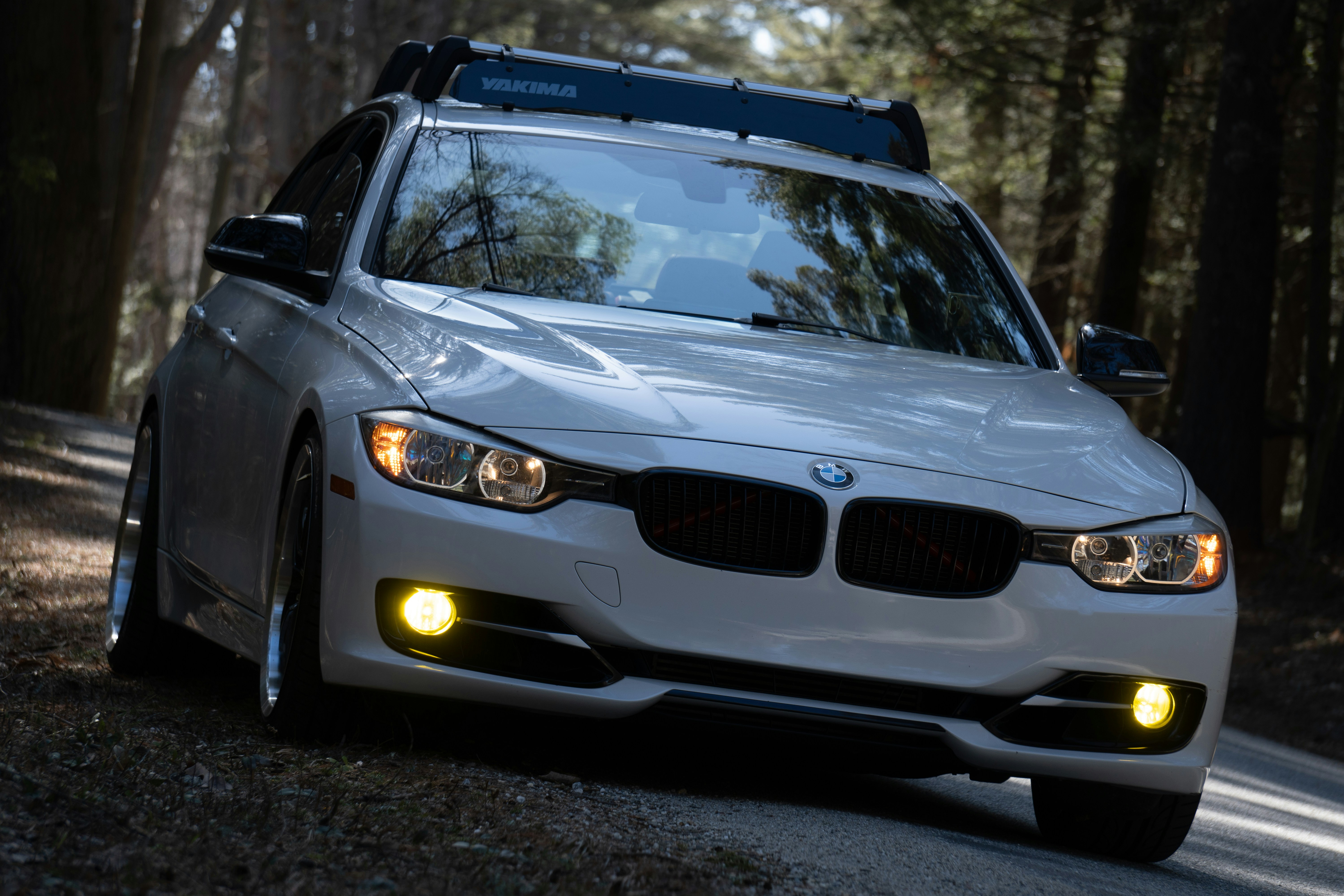 A sleek white BMW parked on a winding forest road, showcasing its modern design and striking headlights against a backdrop of tall trees.