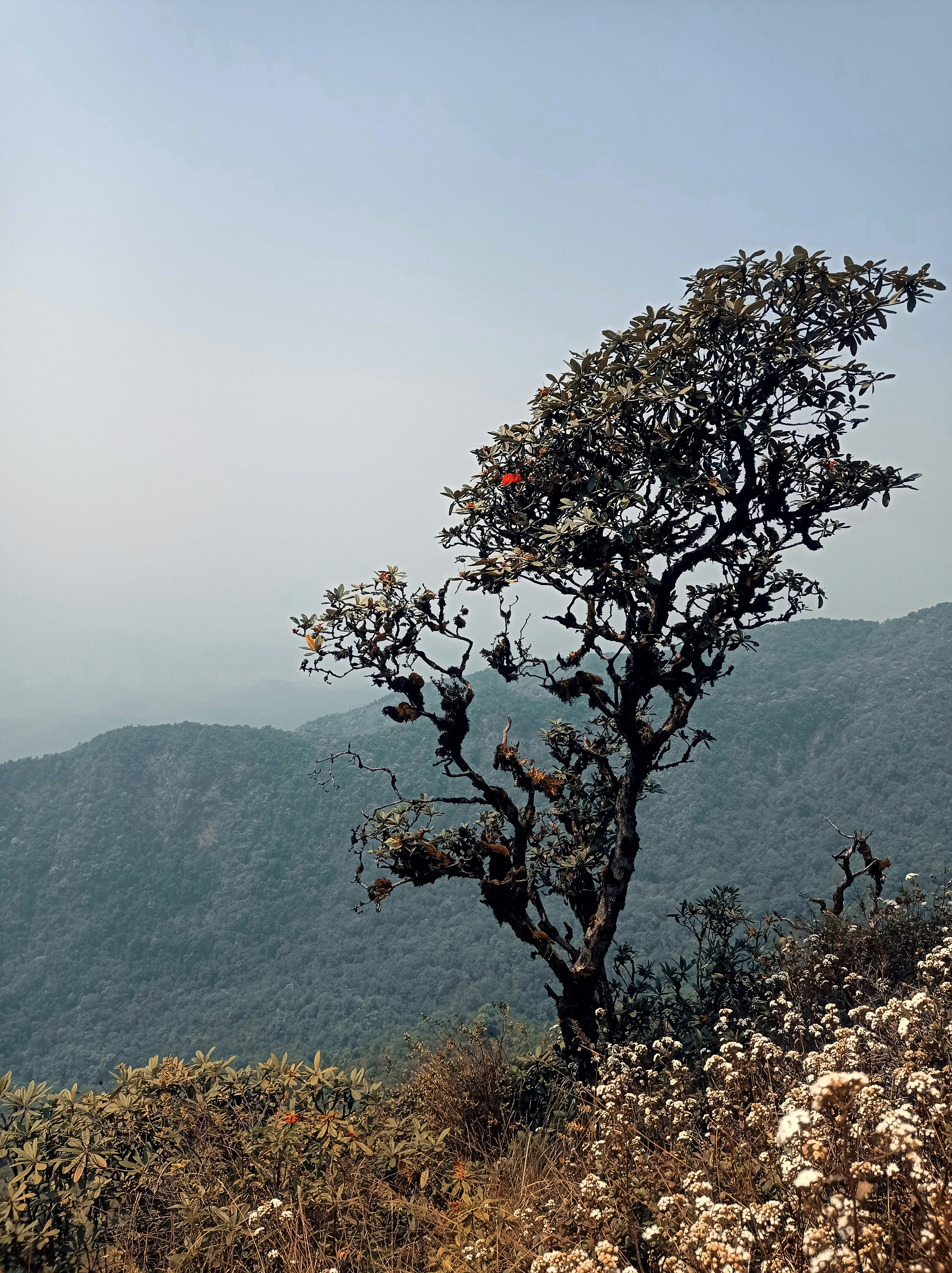 Non Chanon (@channon) | Comunidade de fotos da Unsplash