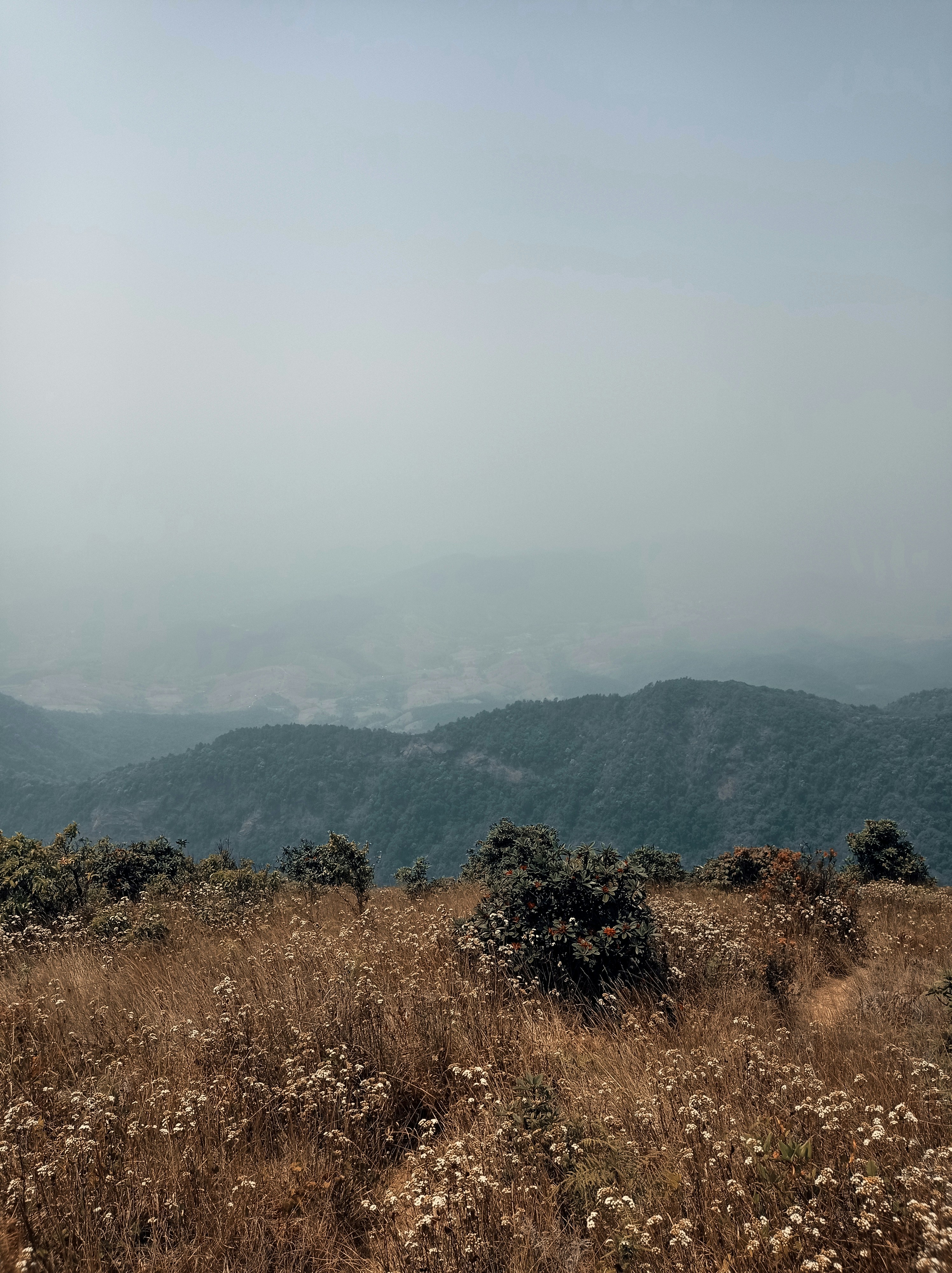 Non Chanon (@channon) | Comunidade de fotos da Unsplash