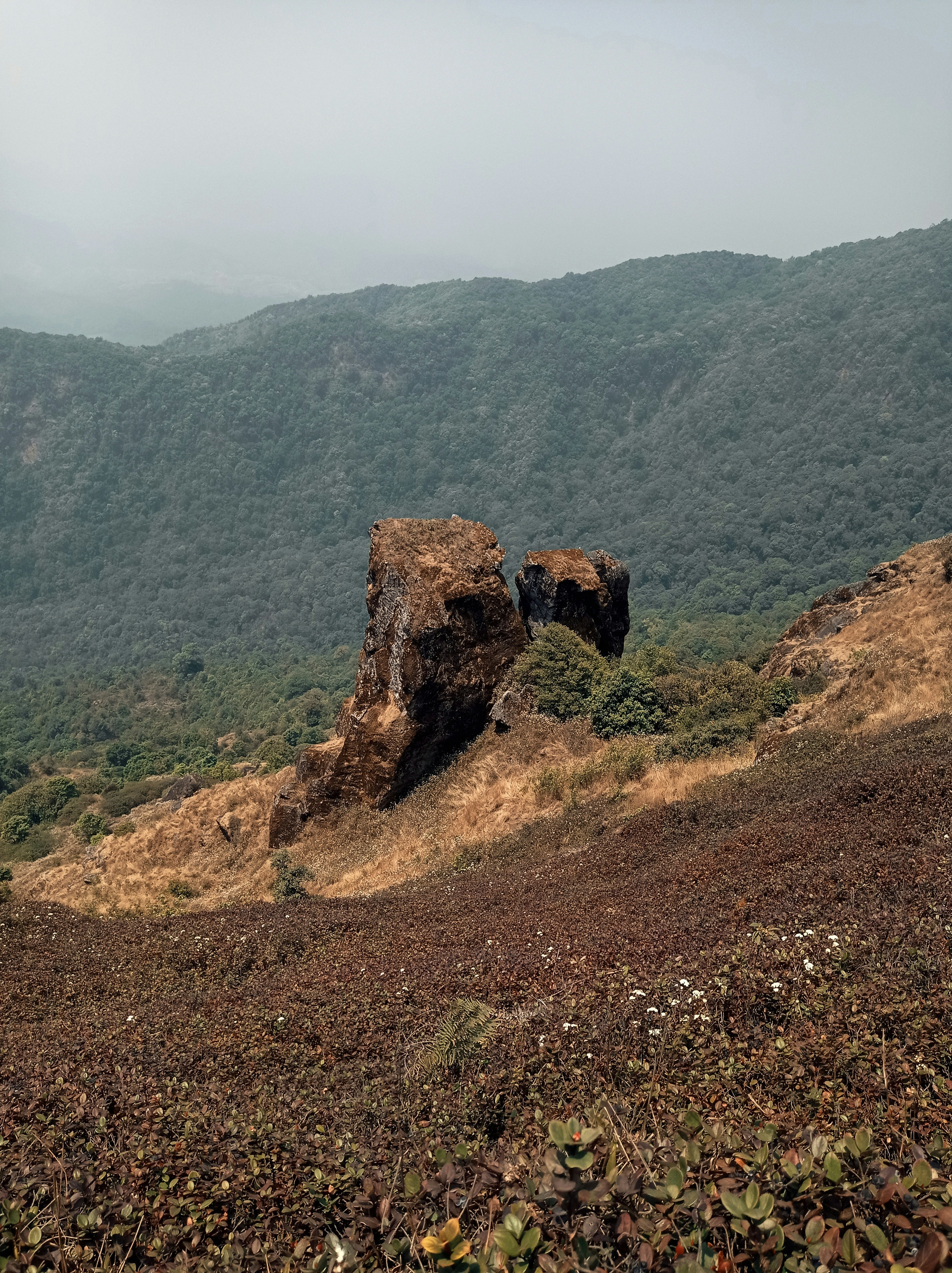 Non Chanon (@channon) | Comunidade de fotos da Unsplash