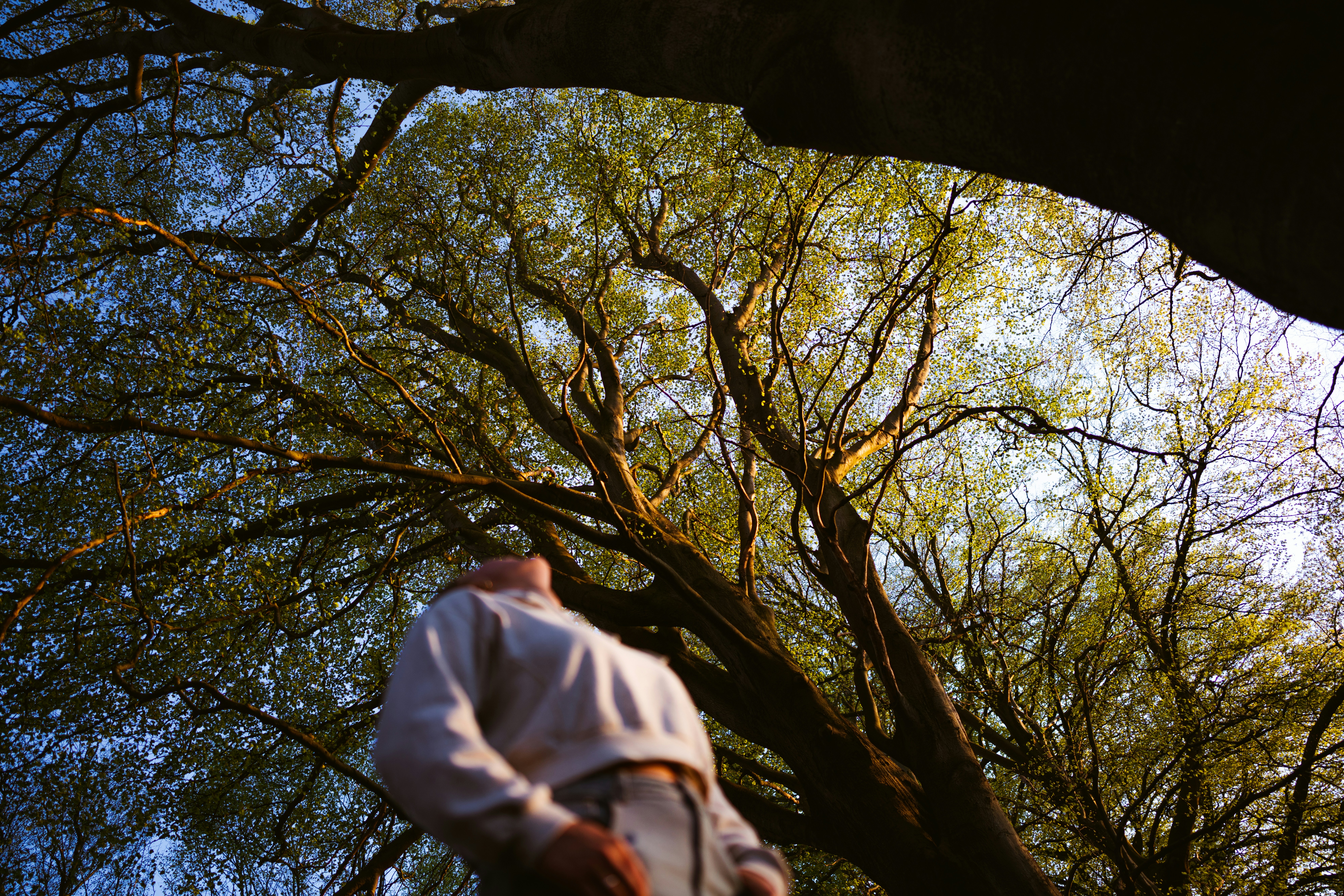 man in white dress shirt and brown pants standing under green tree during daytime